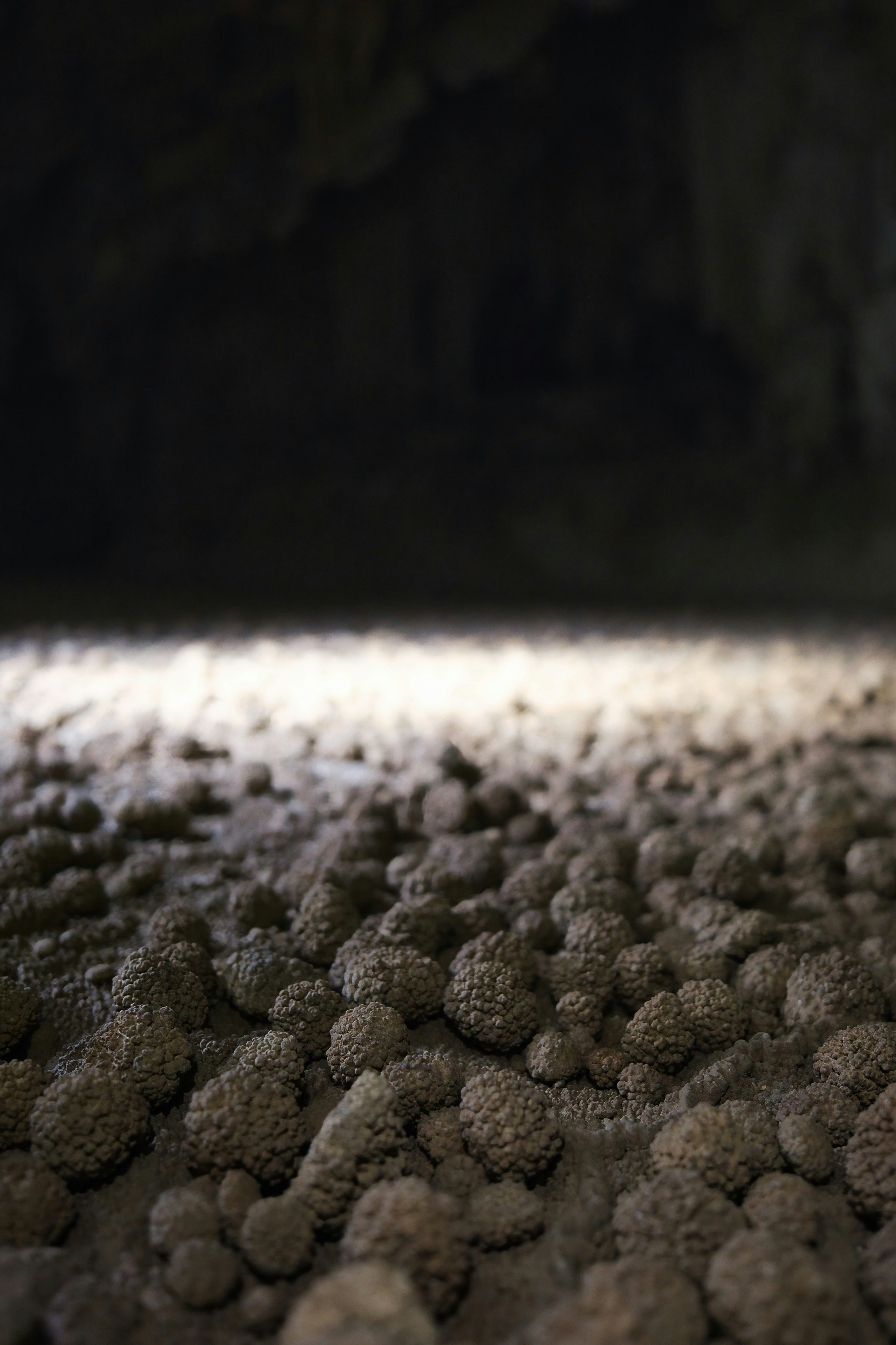 Low-Light Battlefield: Textured Echoes of Spherical Crystals in a Cave