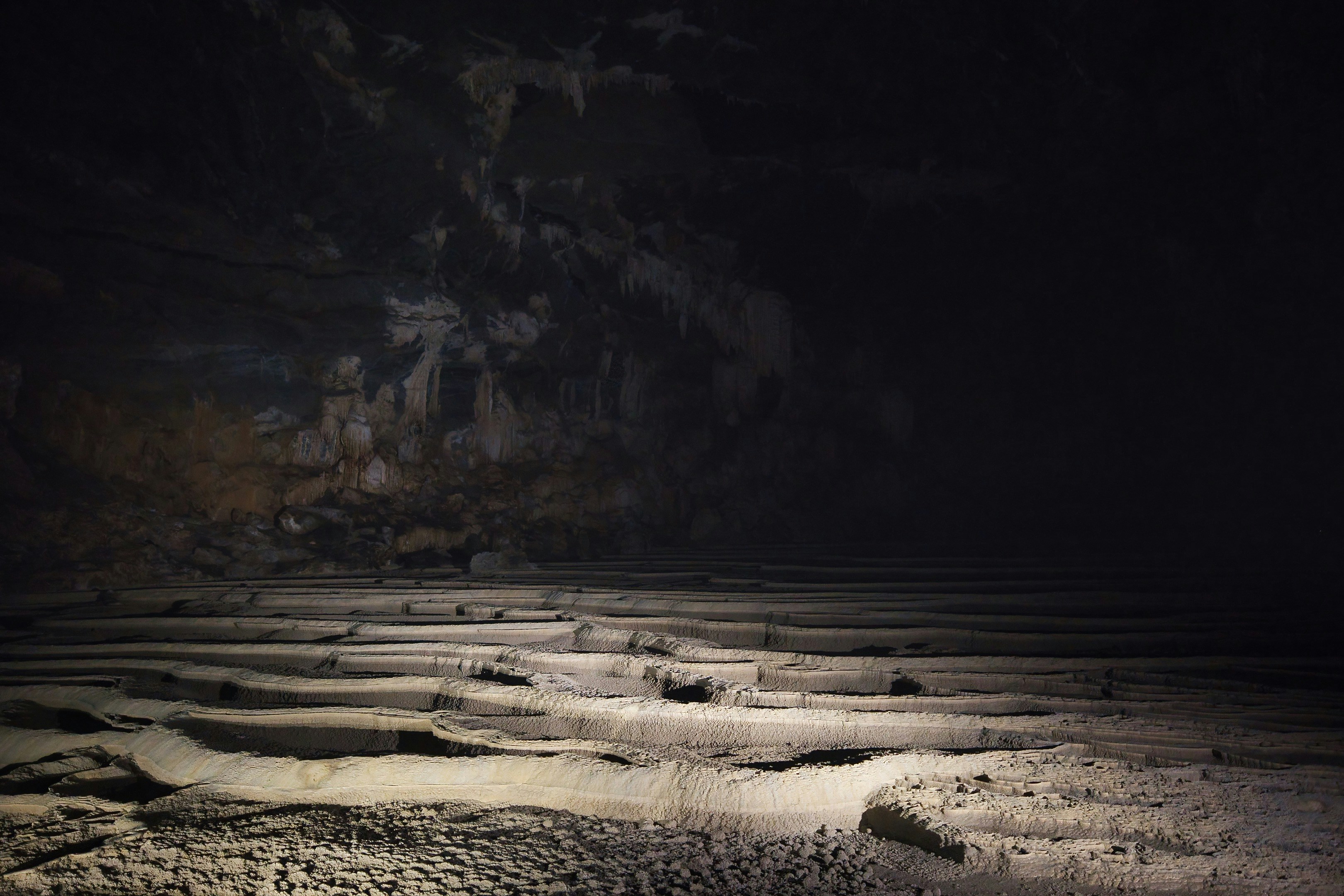 Moonlit Trenches: Echoes of the Underground