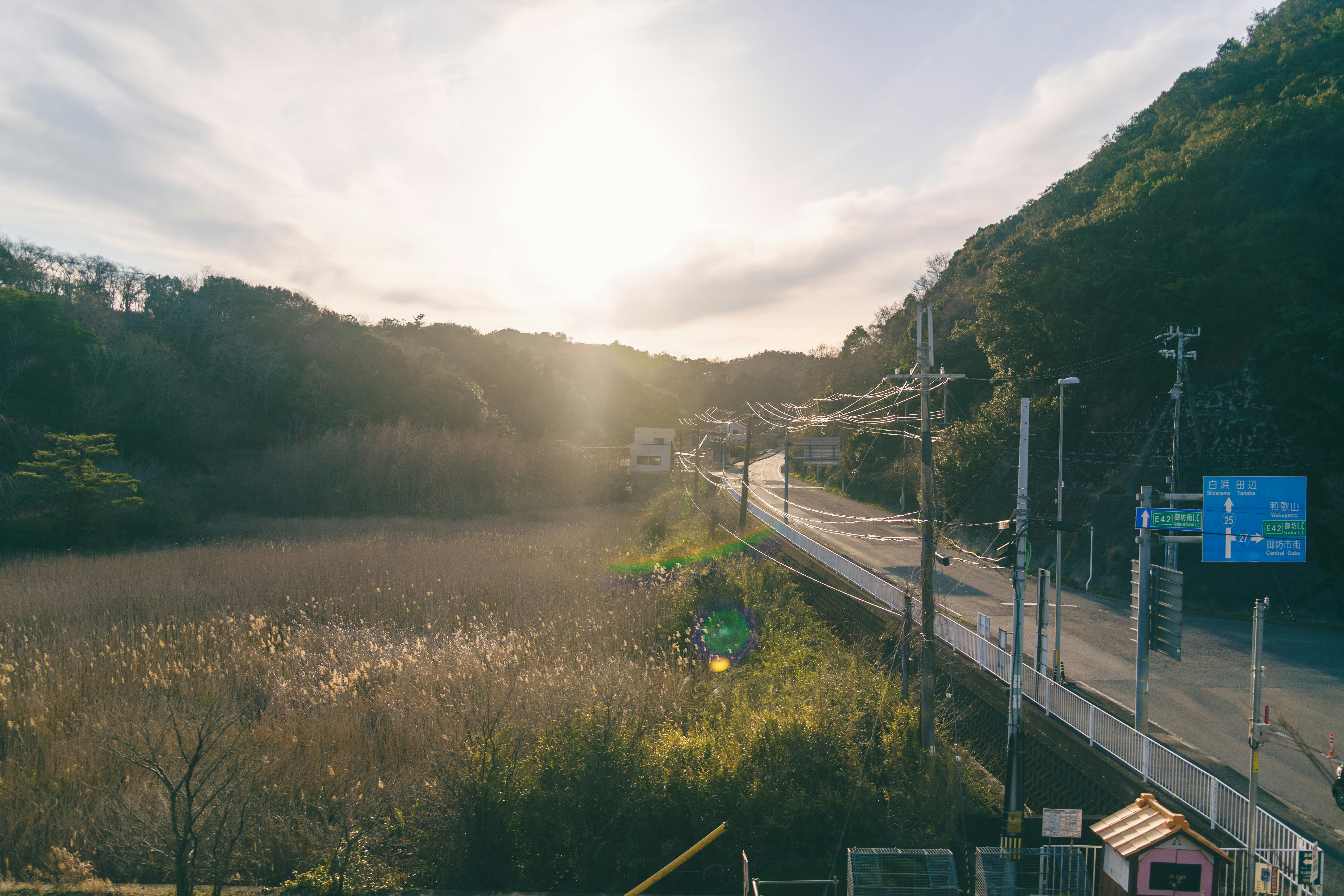 Early Light Over the Village Rail Corridor