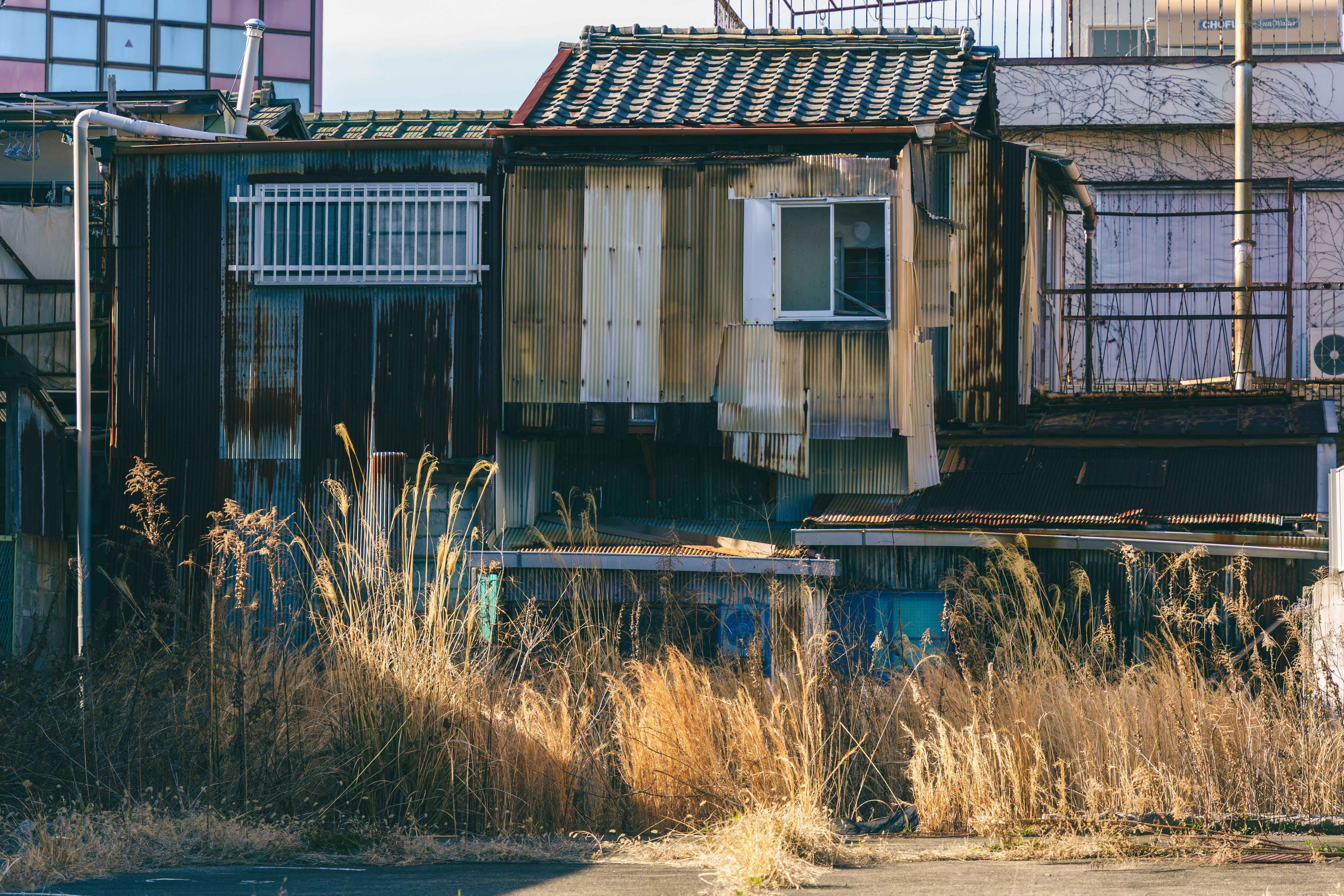 Rust and Grass: A Quiet Facade of Abandoned Structures