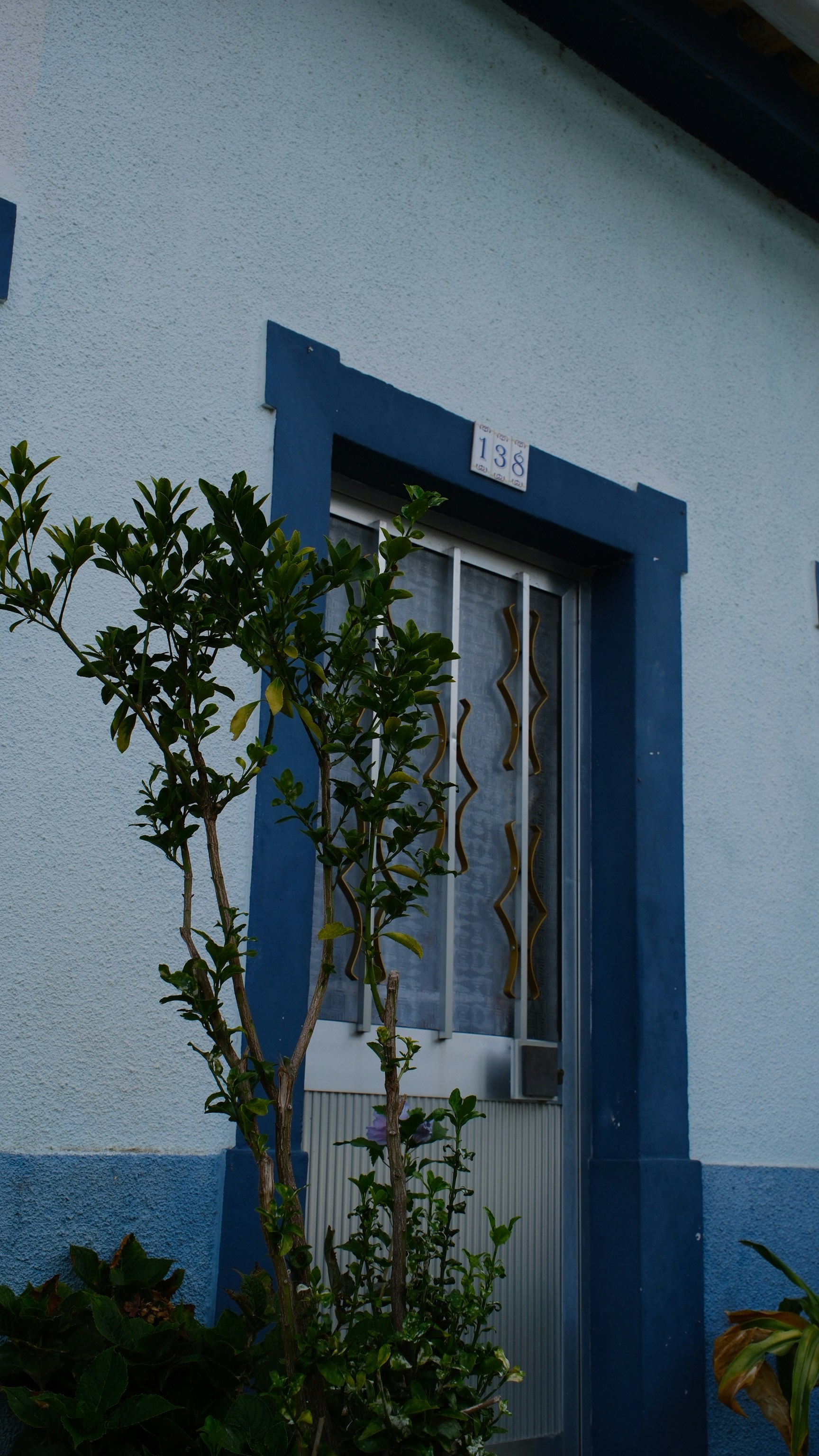Blue Portal: A Doorway Framed by Garden Shrubs