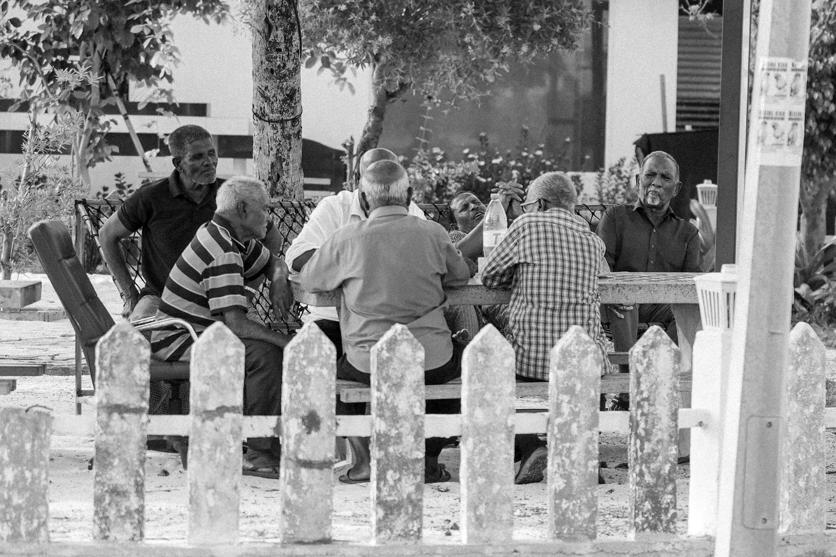 Sunlit Circle: Friends at the Fenced Table