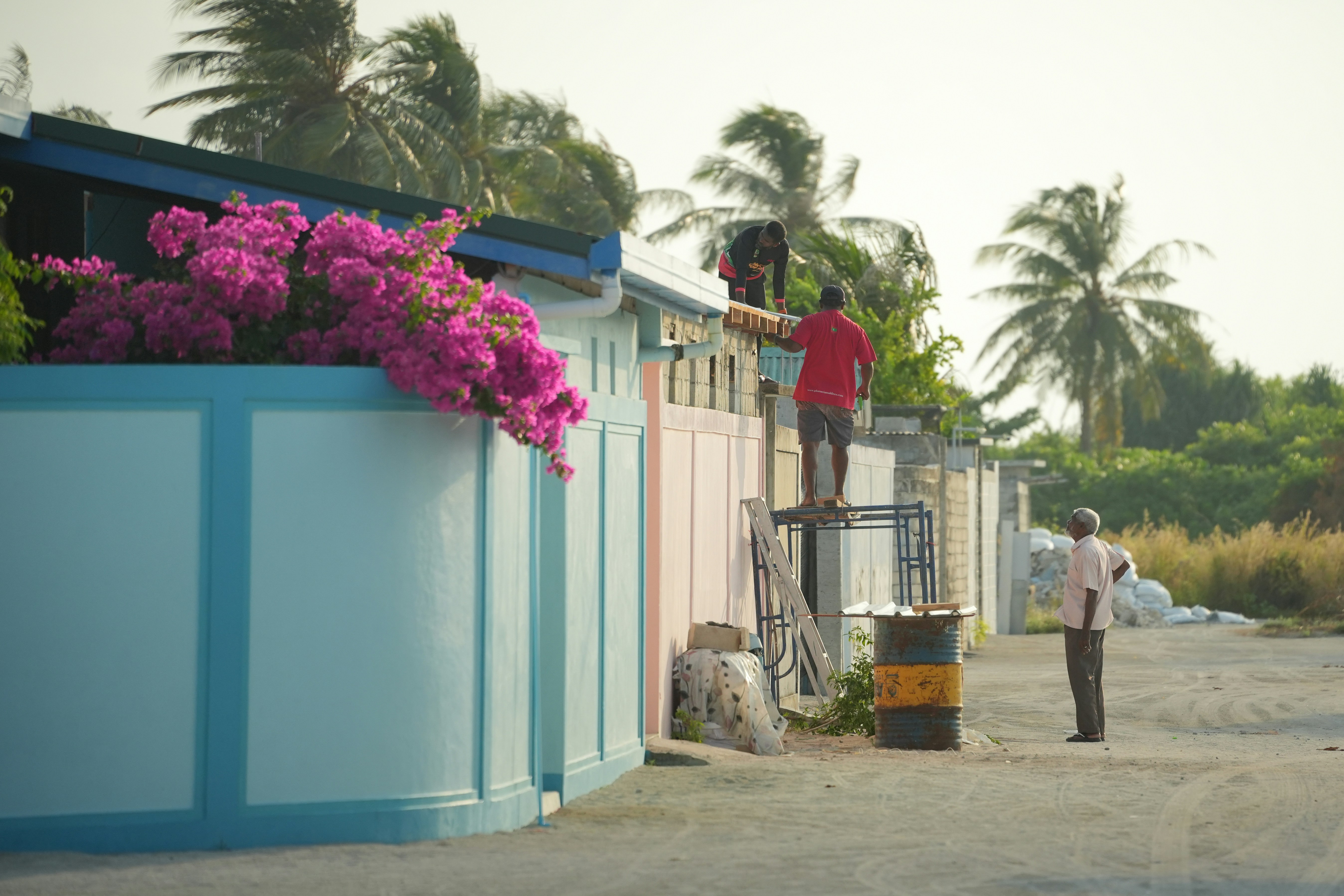 Harboring Hints of Spring: Builders and Bloom at the Blue Wall