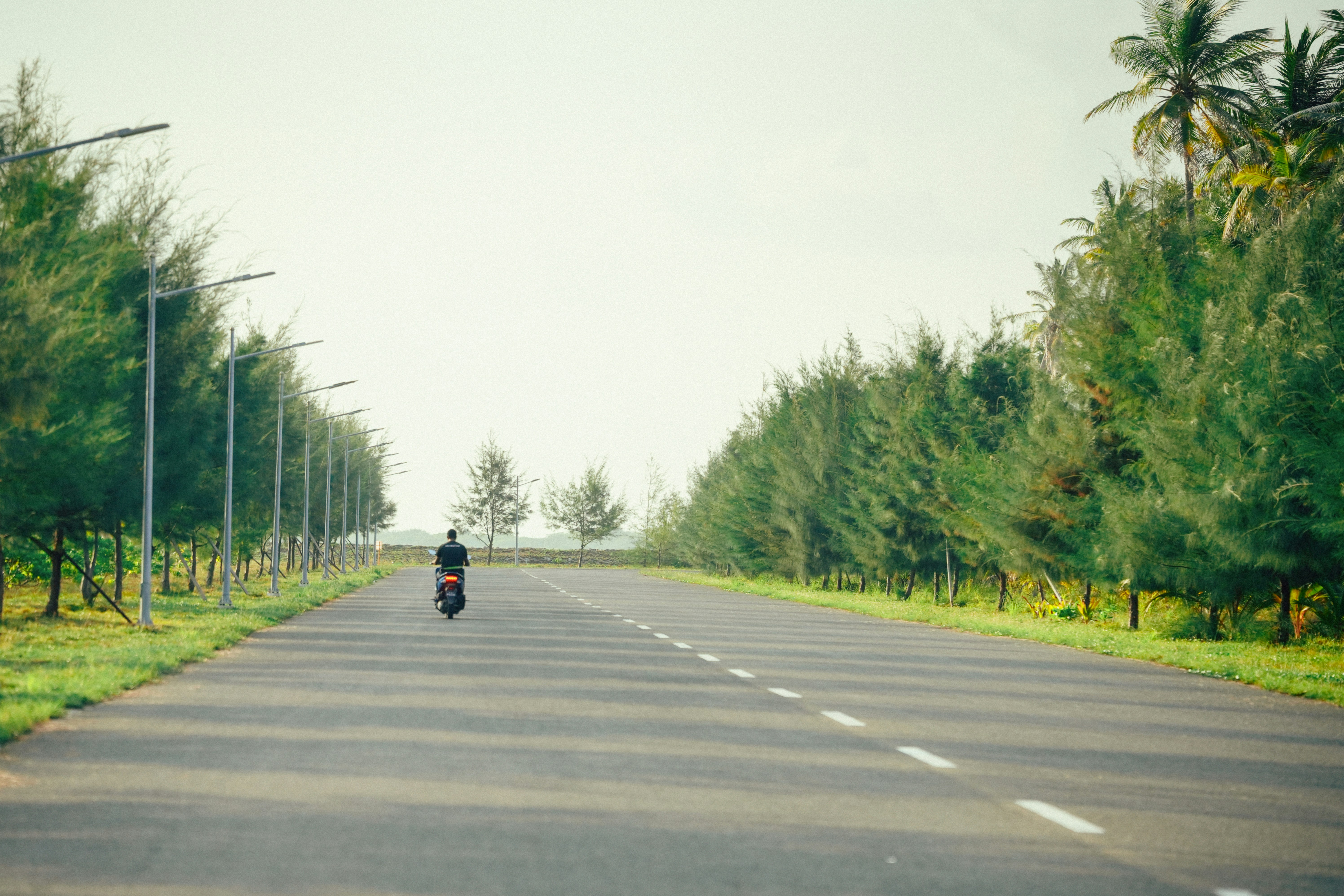 Lonely Rider Down the Infinite Avenue