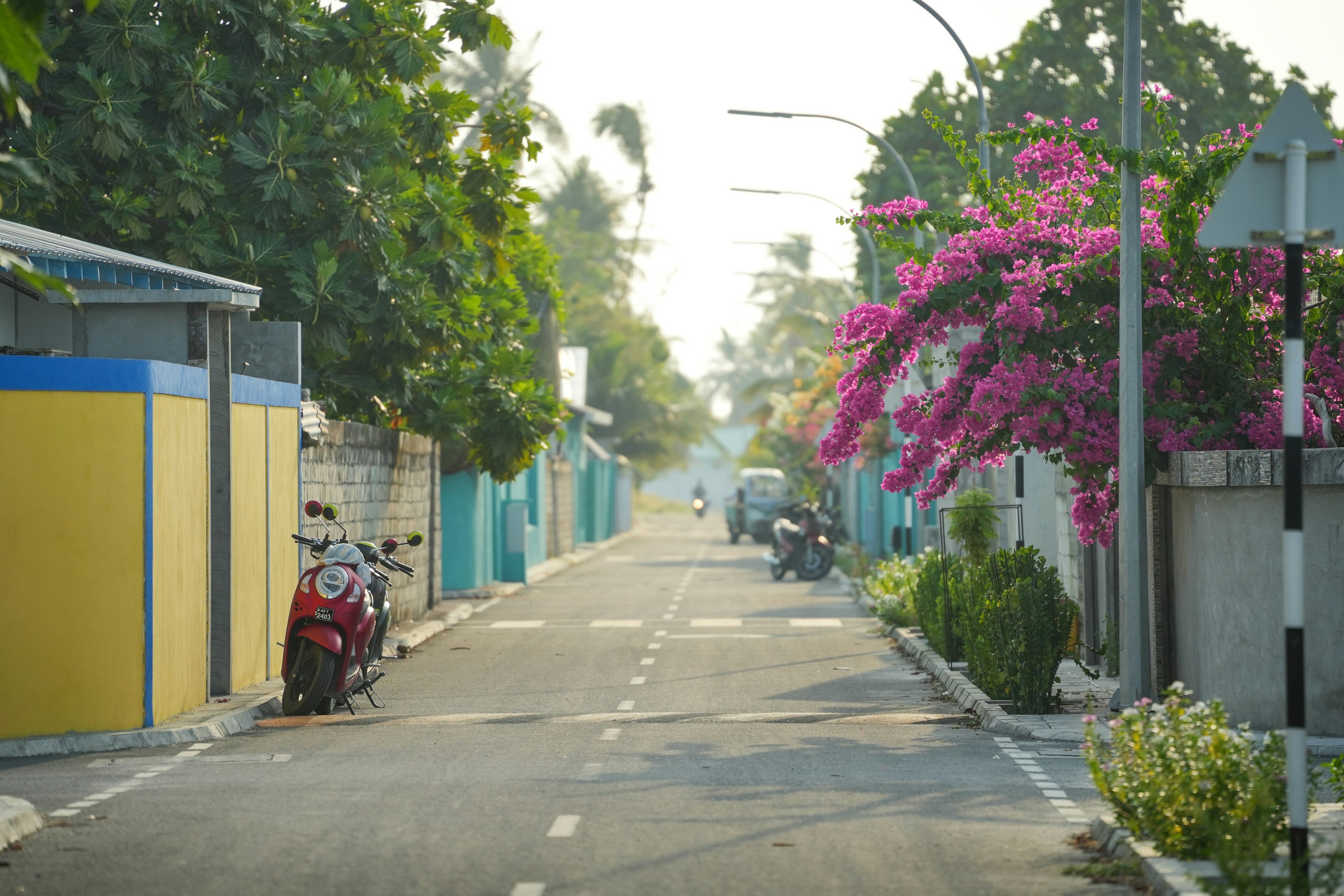 Sunlit Street Corridor with Bright Bougainvillea Archway