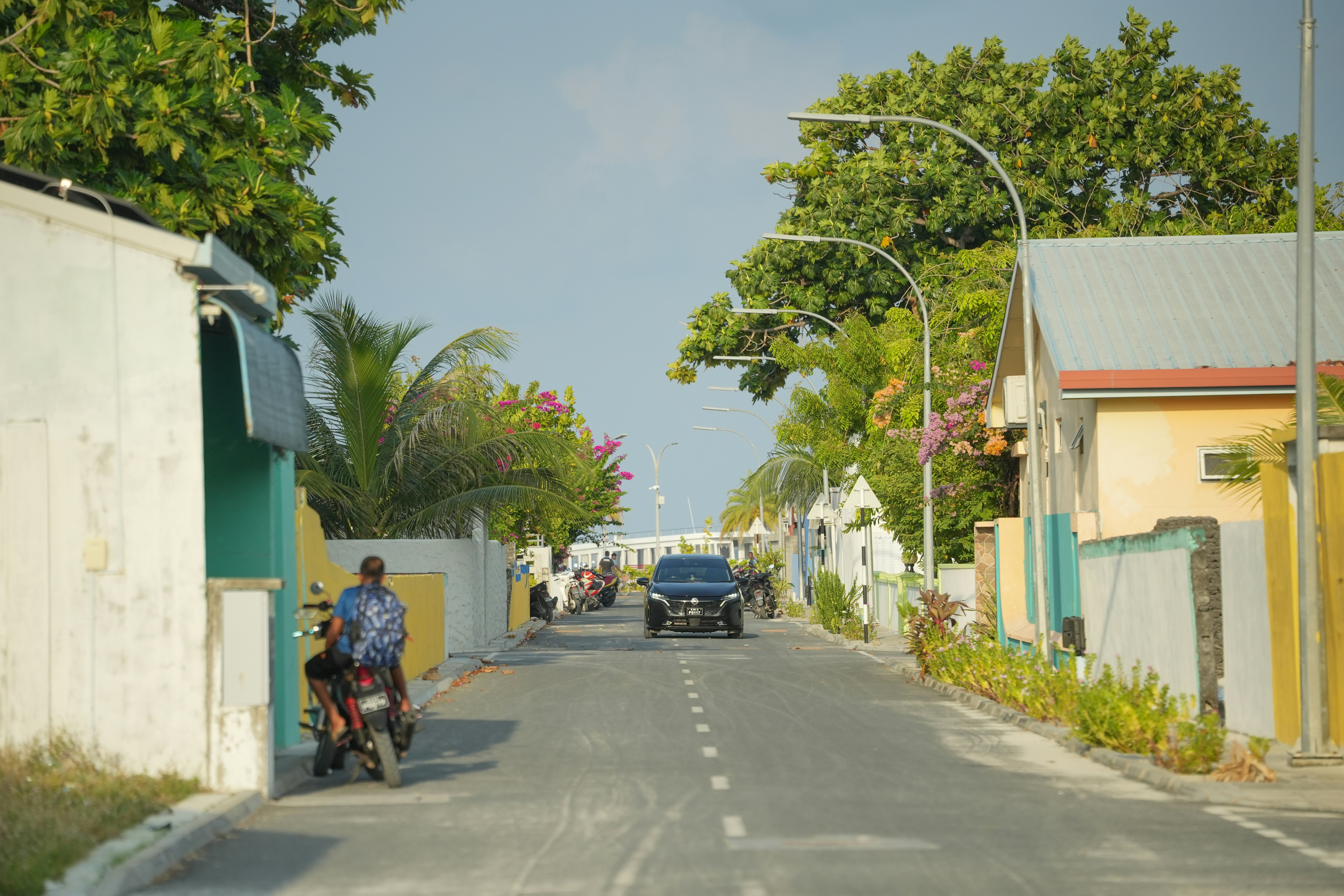 Street Symmetry: A Quiet Coastal Avenue Framed by Colorful Homes and Palm Shadows