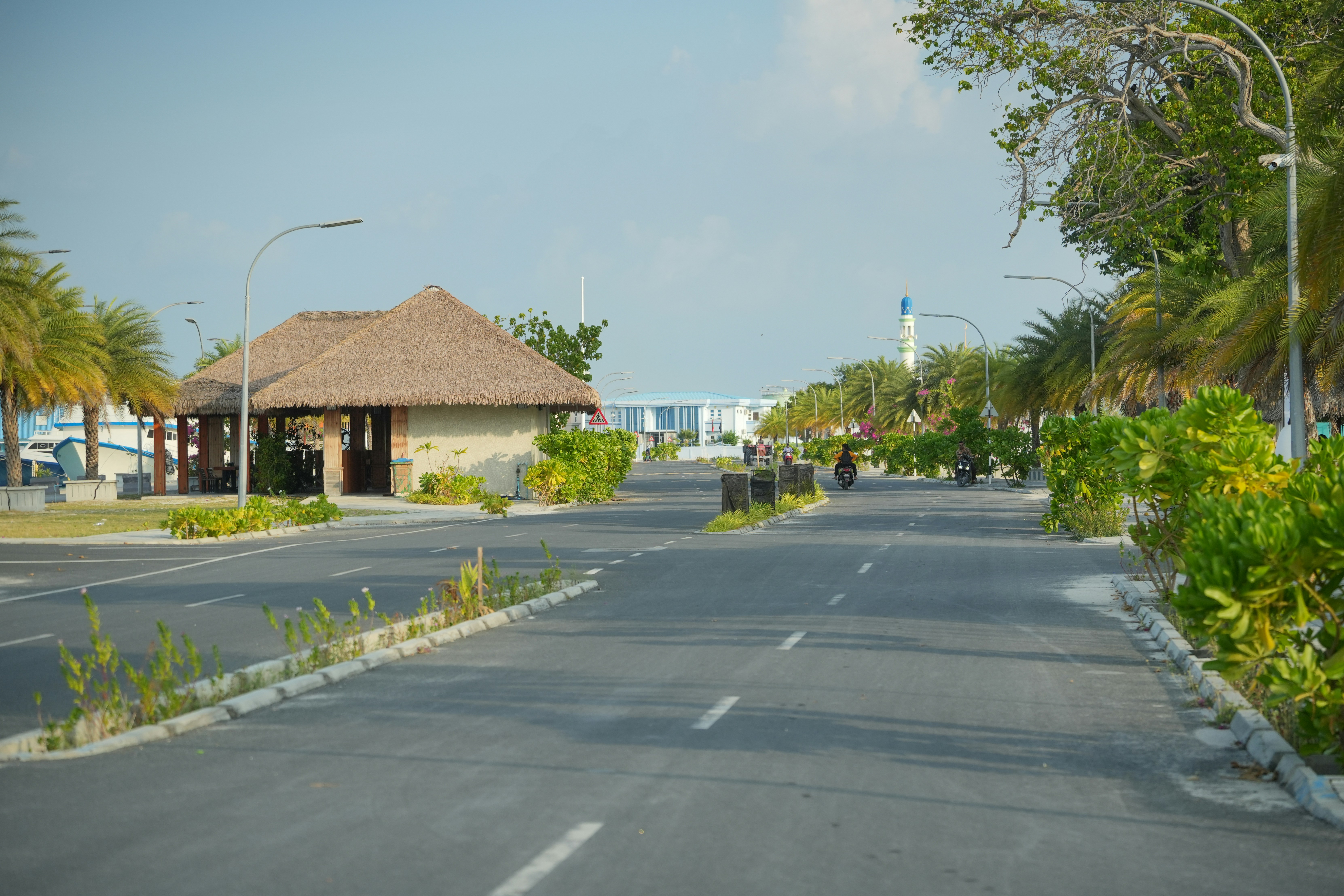 A Quiet Boulevard Toward the Farshore