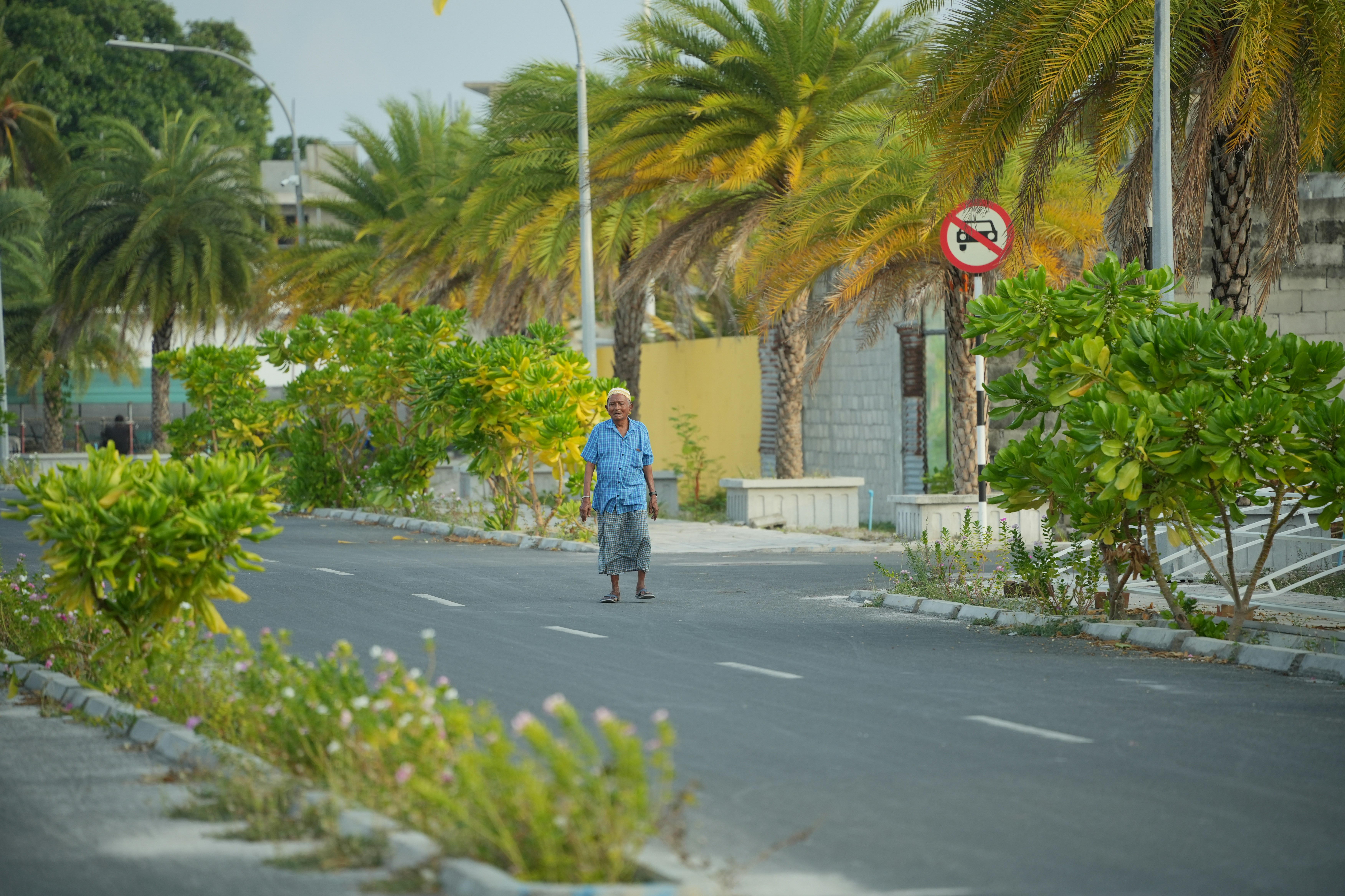 Sunlit Street Runner: A Quiet Moment on a Palm-Lined Avenue