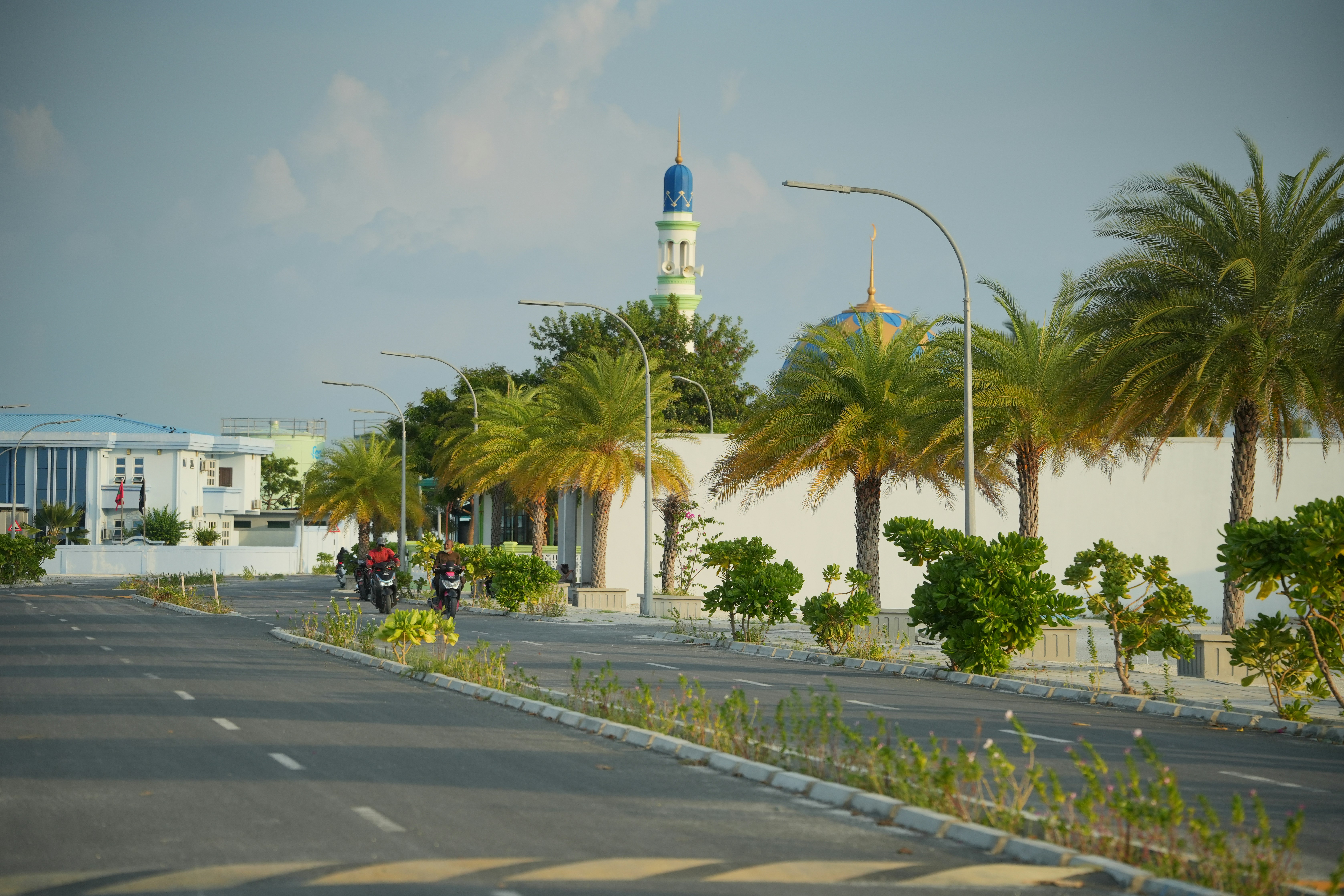 Palm-Fringed Promenade Under a Blue-Sky Boulevard