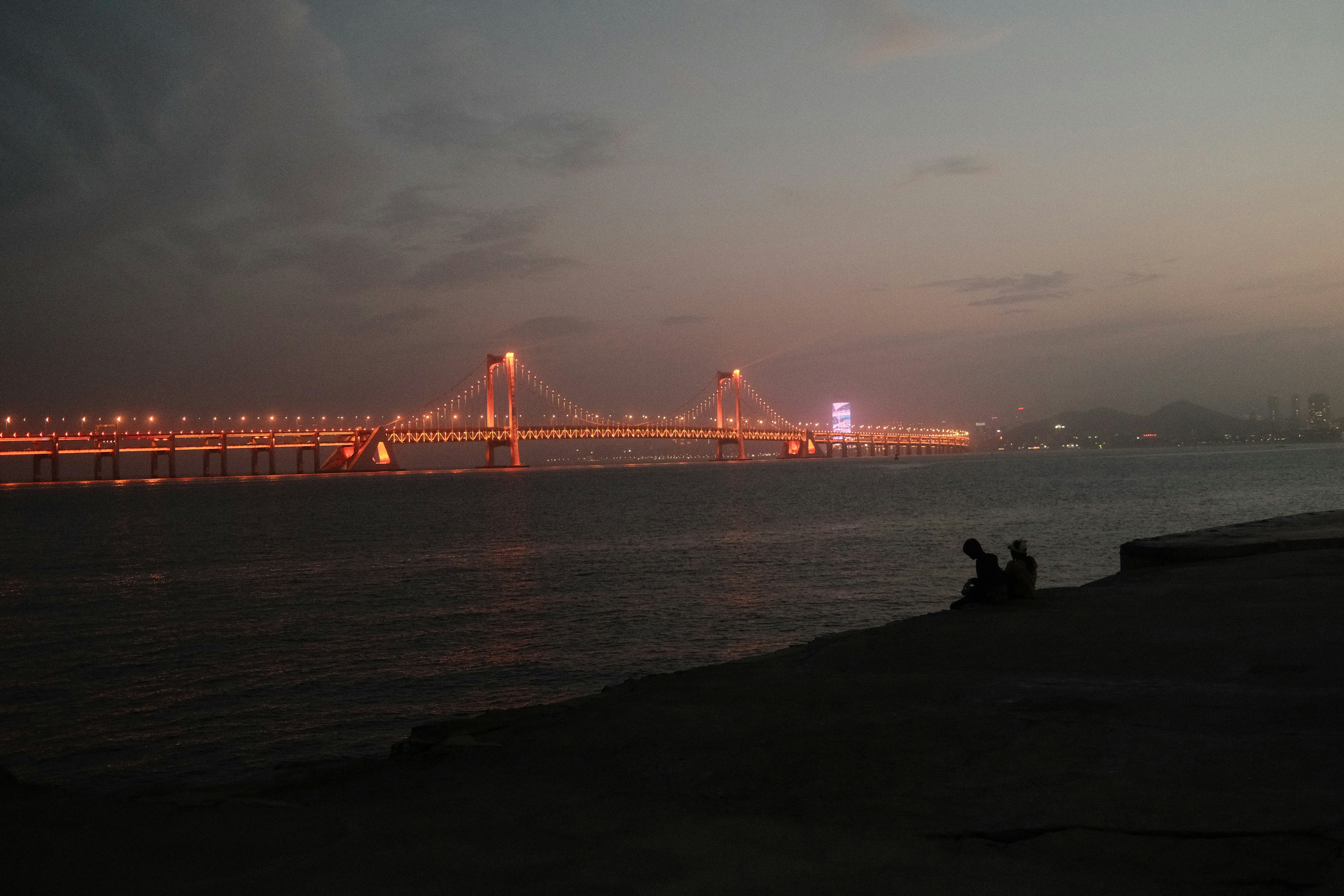 Evening Lights over the Curved Span