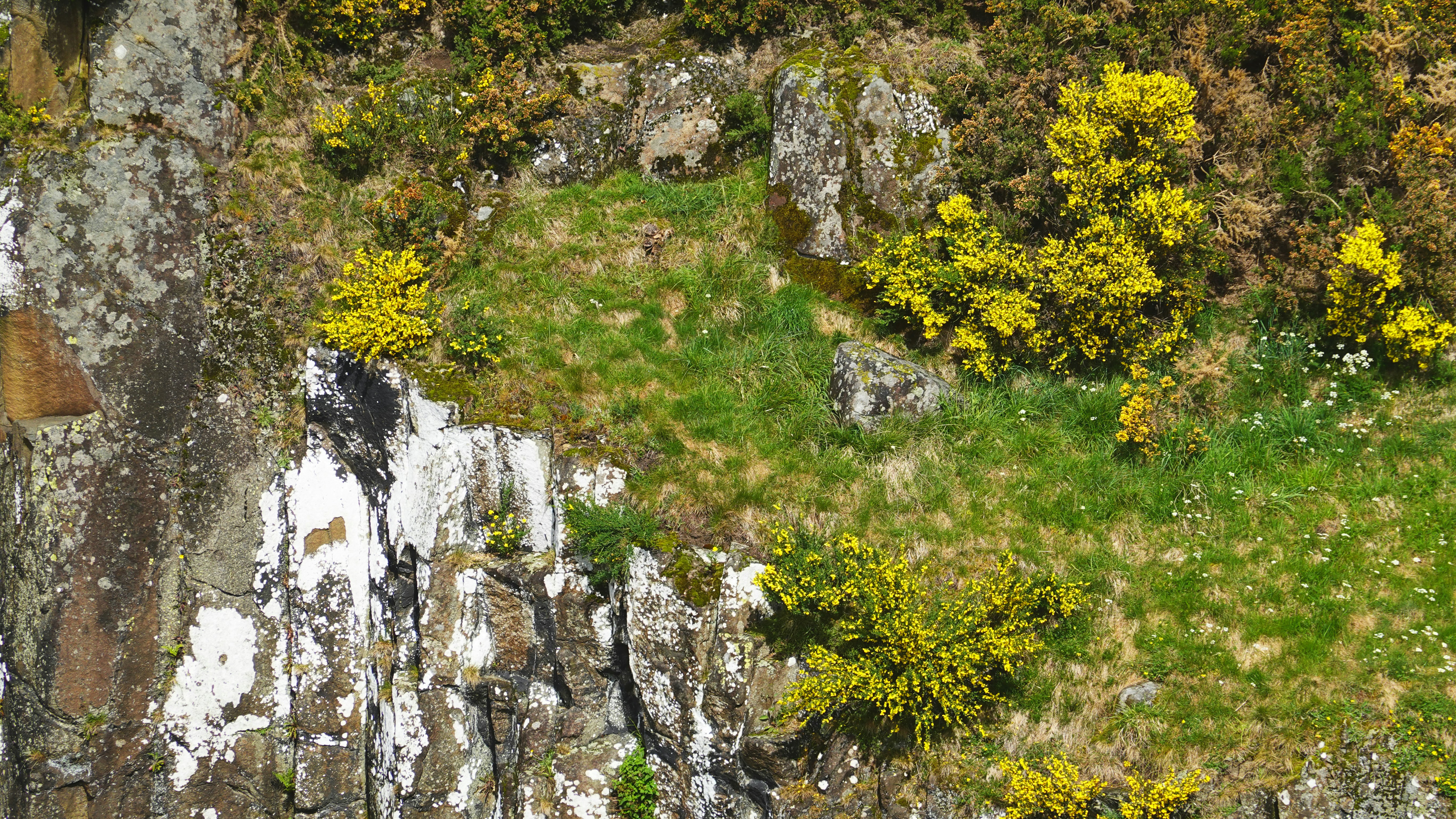 Lichen-clad Cliff Verge Above a Meadowed Slope