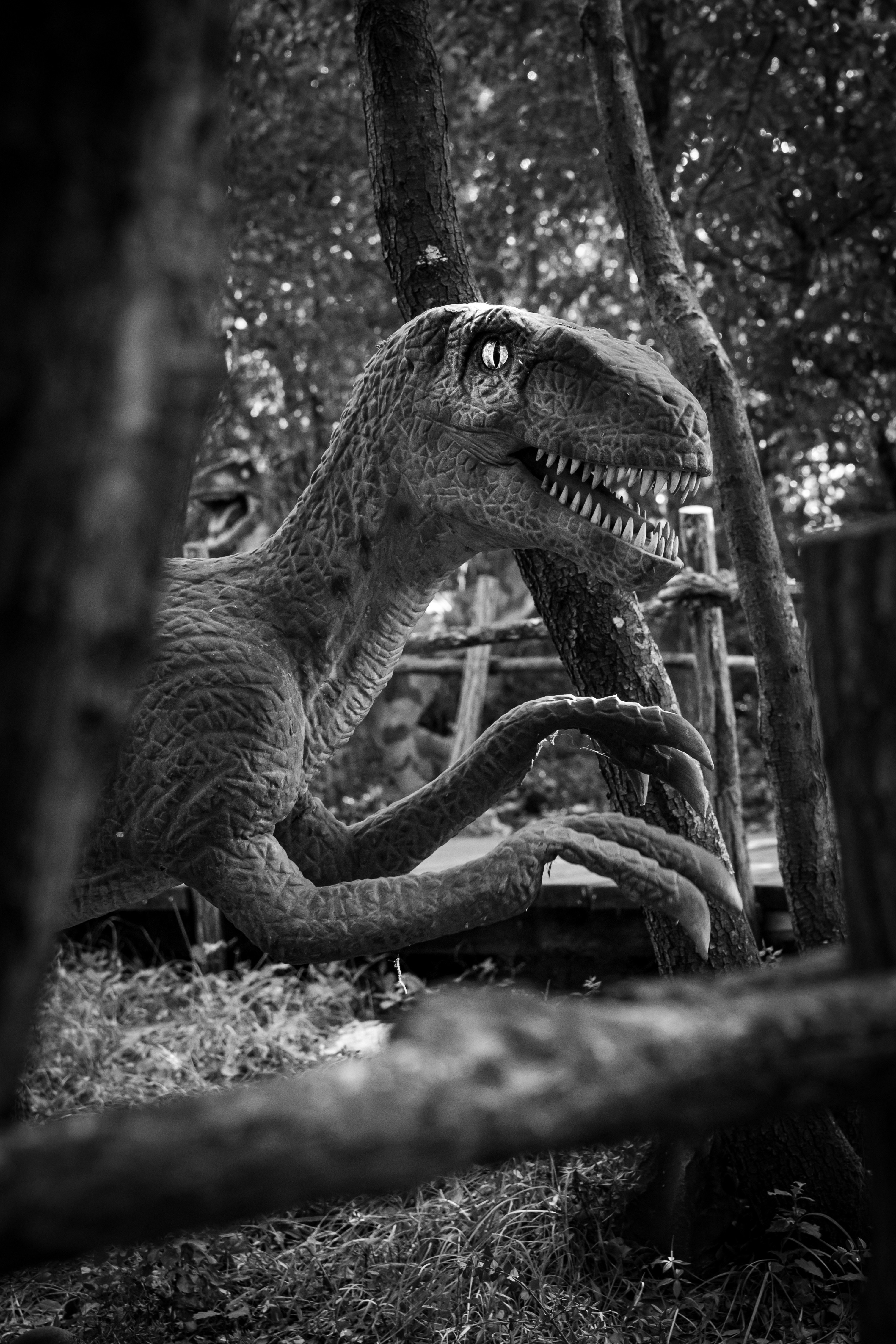Feral Greeter: A Dino's Gaze Between Wooden Palisades