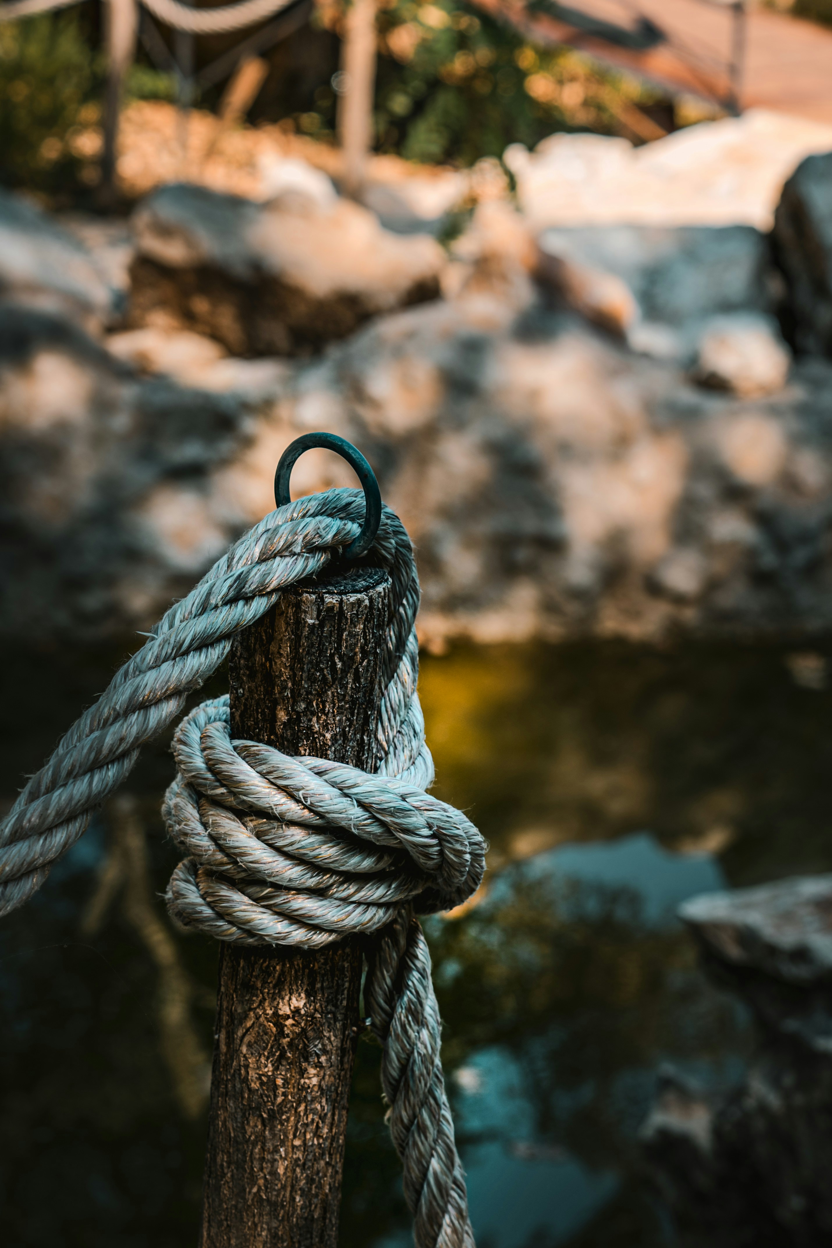 Rope and Ring: A Weathered Post Framing Quiet Waterfront