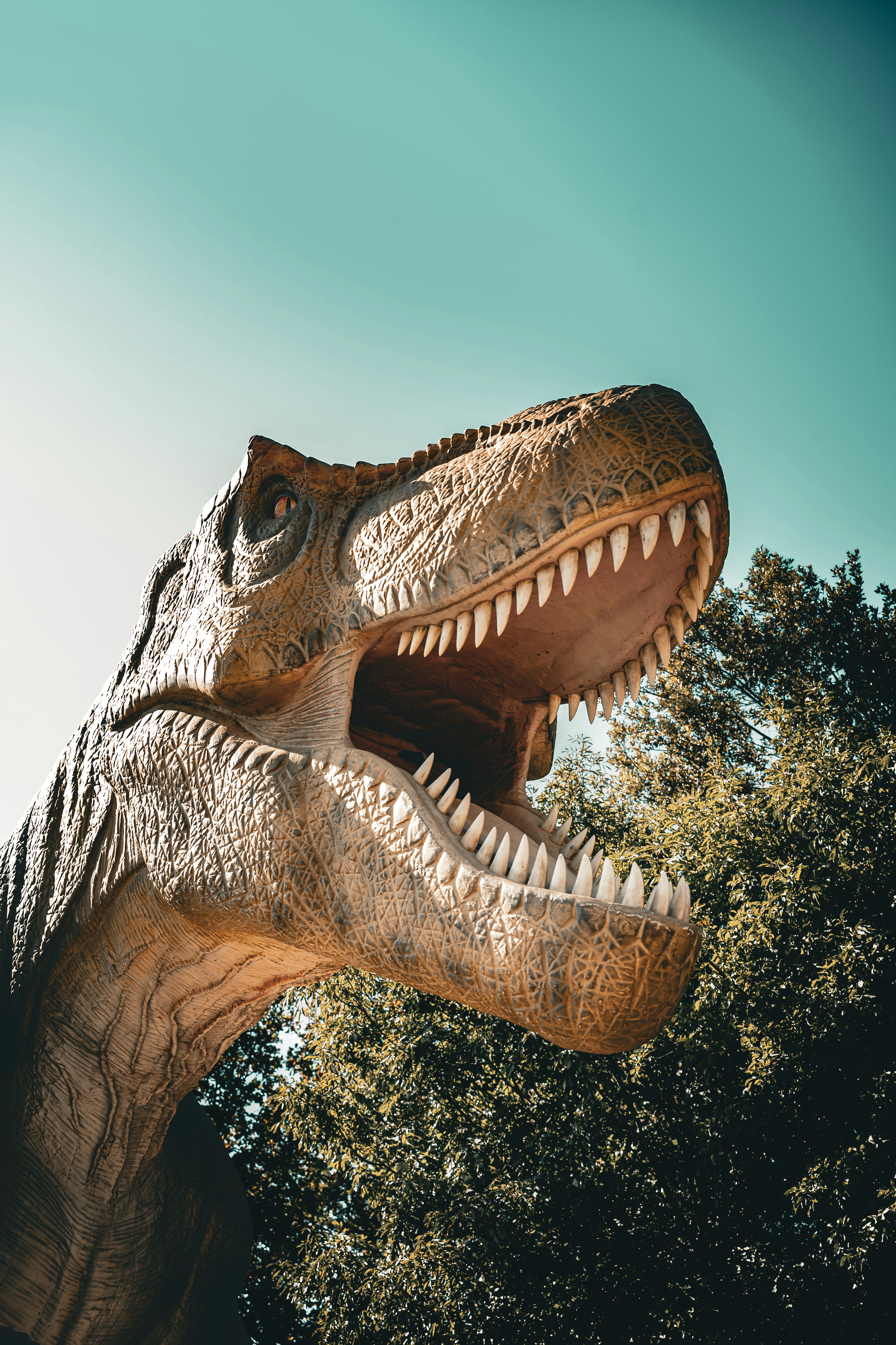 A close-up of a towering dinosaur head with jaws wide open, set against a teal sky and treeline. A dramatic themed sculpture or prop in an outdoor exhibit.
