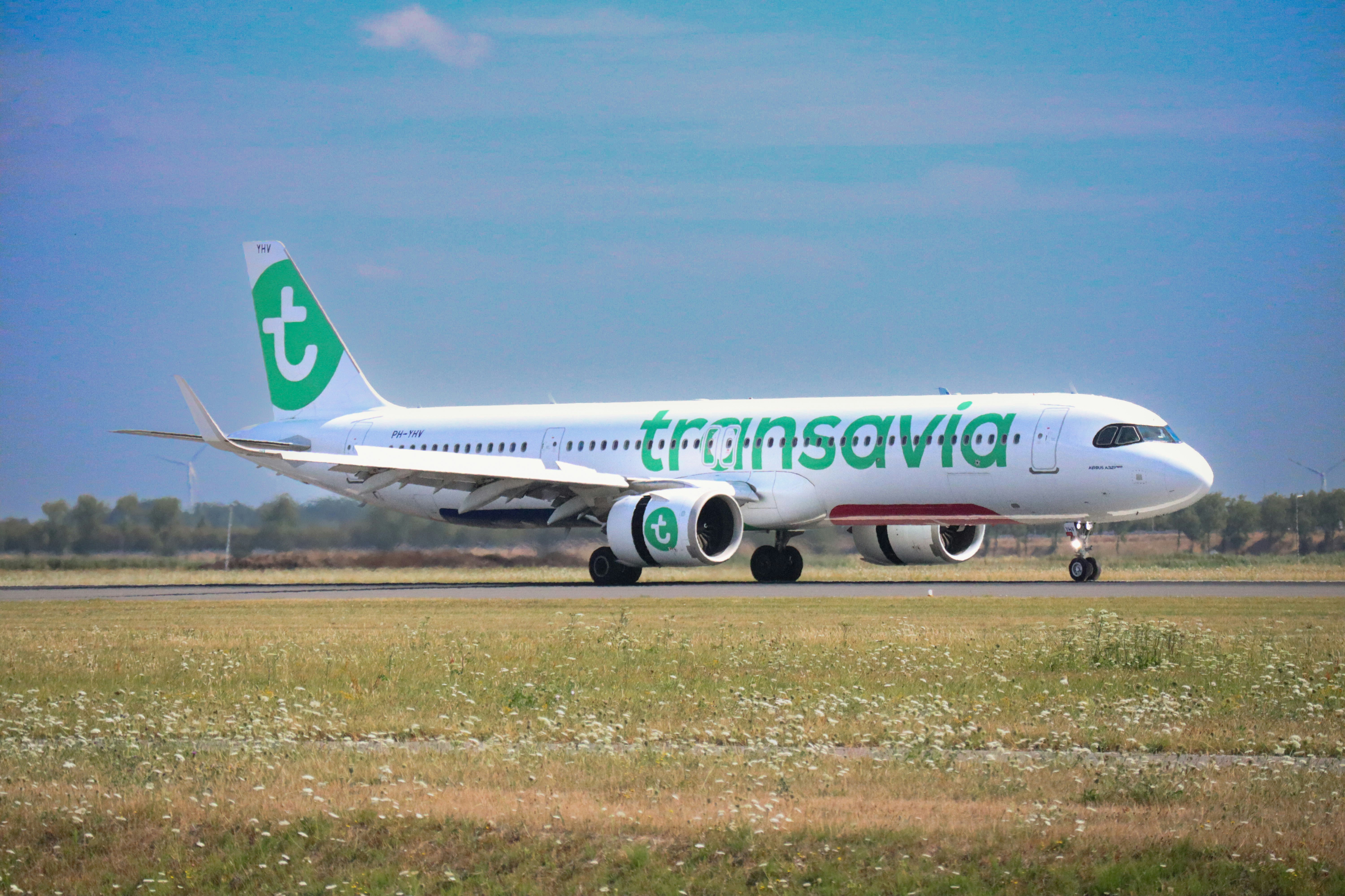 Transavia on the Tarmac: A Sunlit Standby in Quiet Airfield Blues