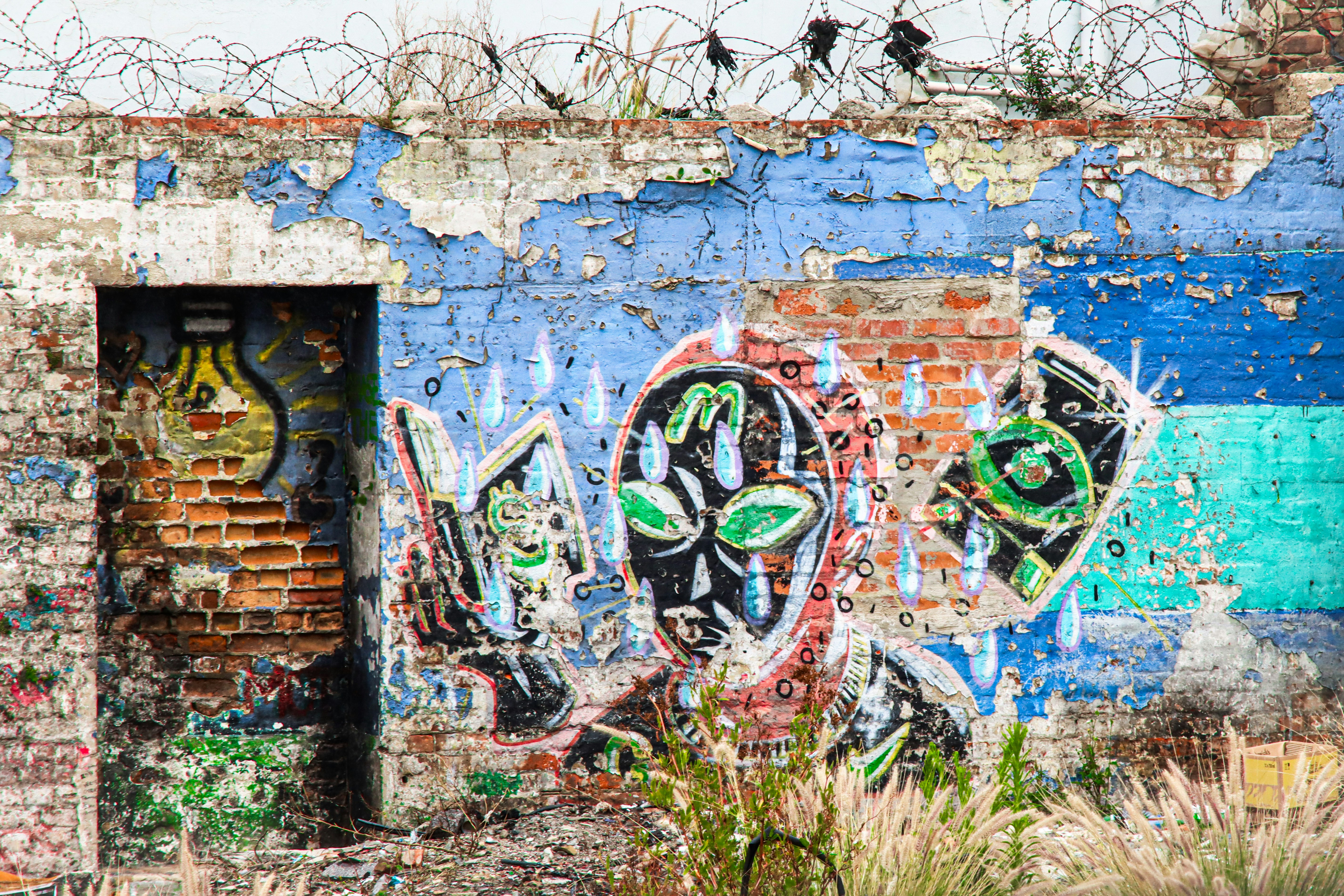 Breath of Color Through Crumbling Bricks