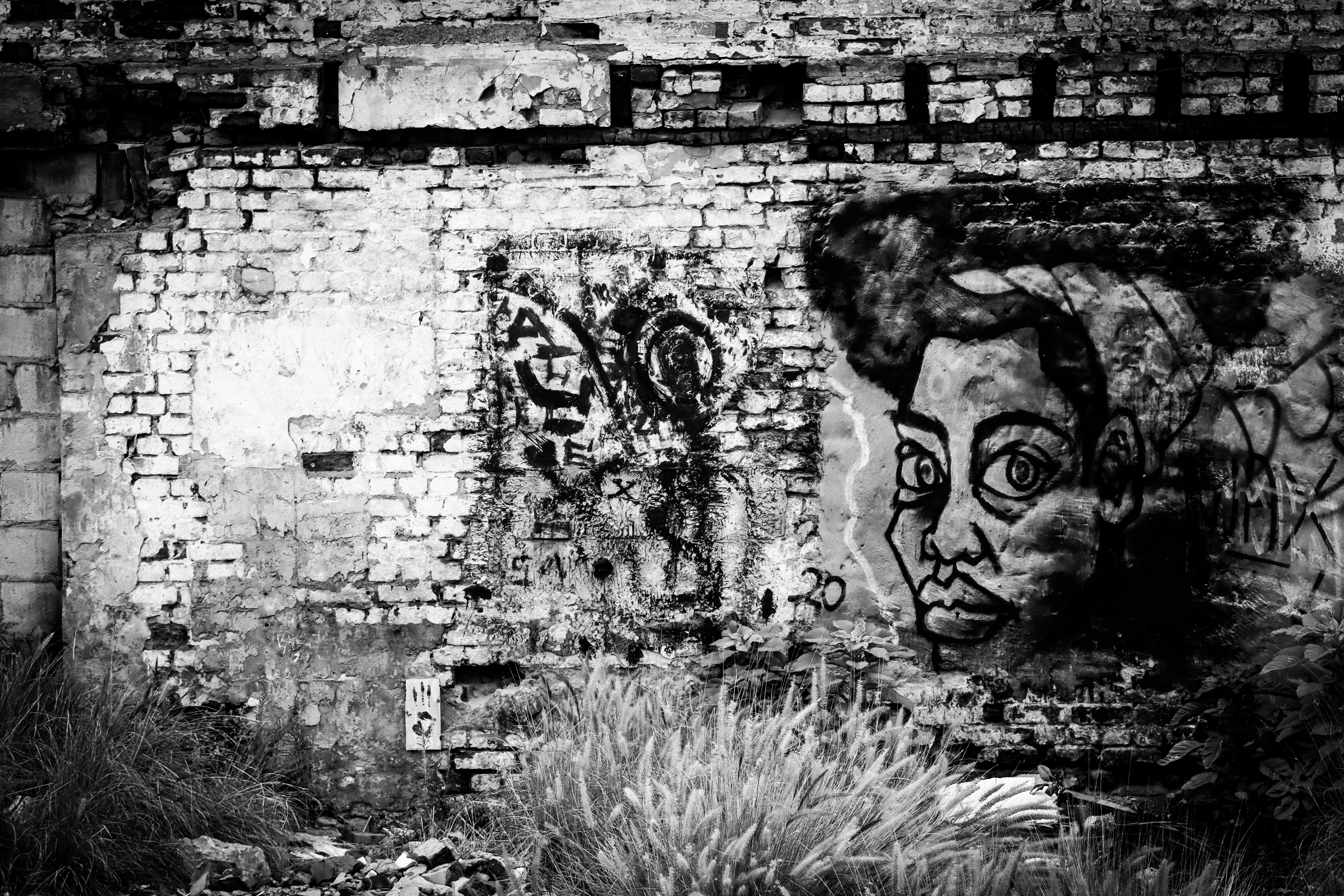 Graffiti Portrait in a Ruined Wall
