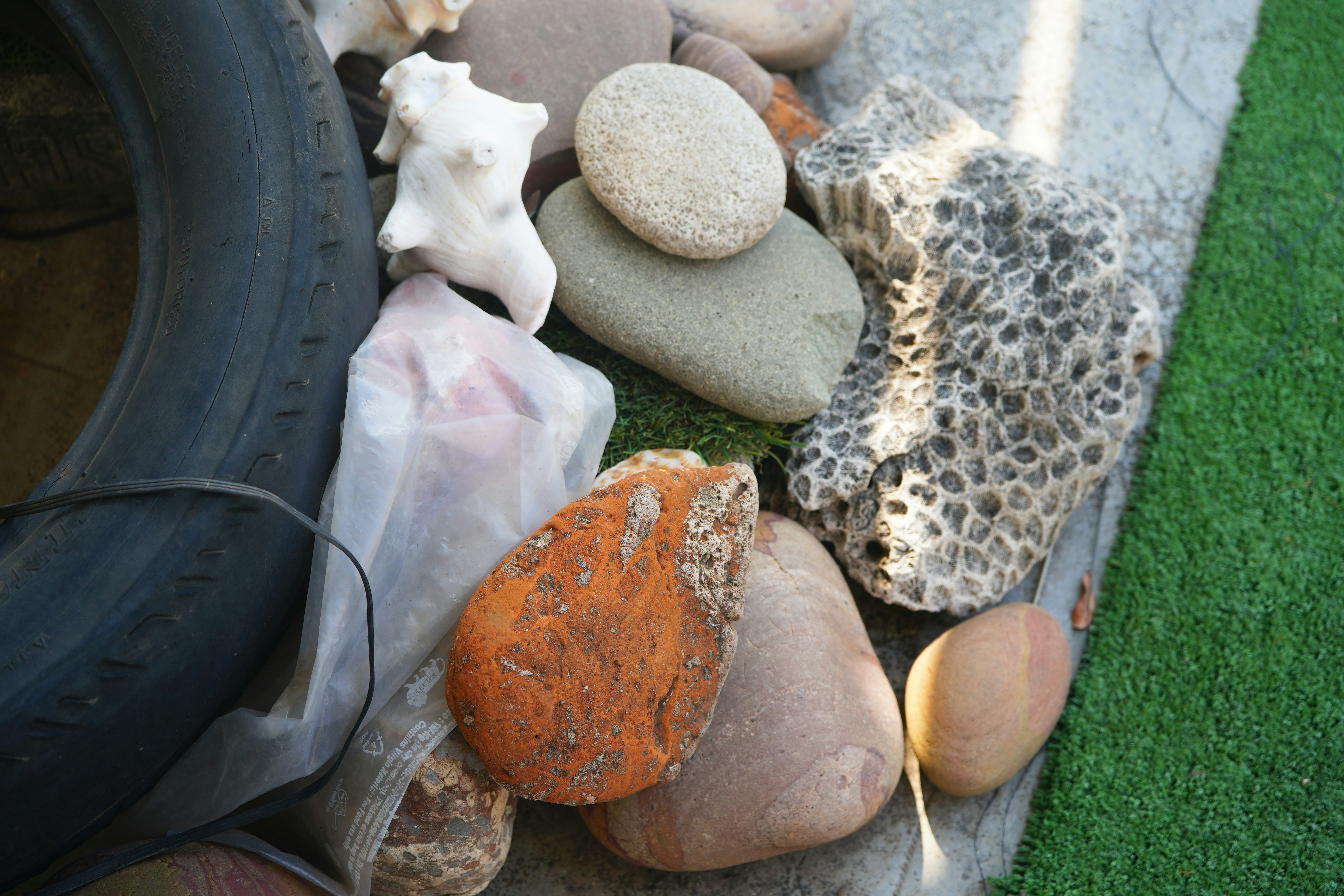 Pebbles and Shells by the Garden Edge