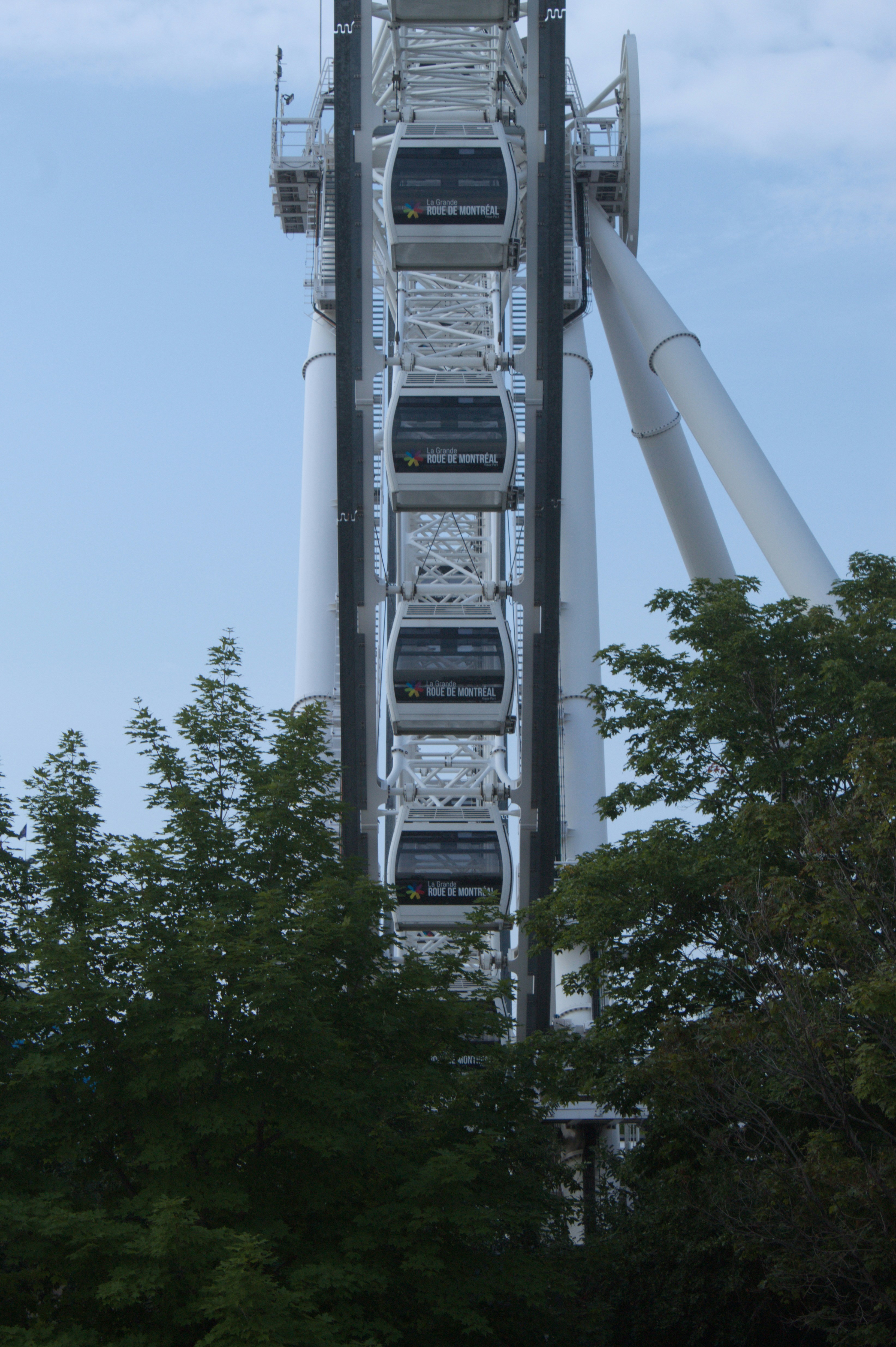 Giant Wheel Towers Above a Green Canopy