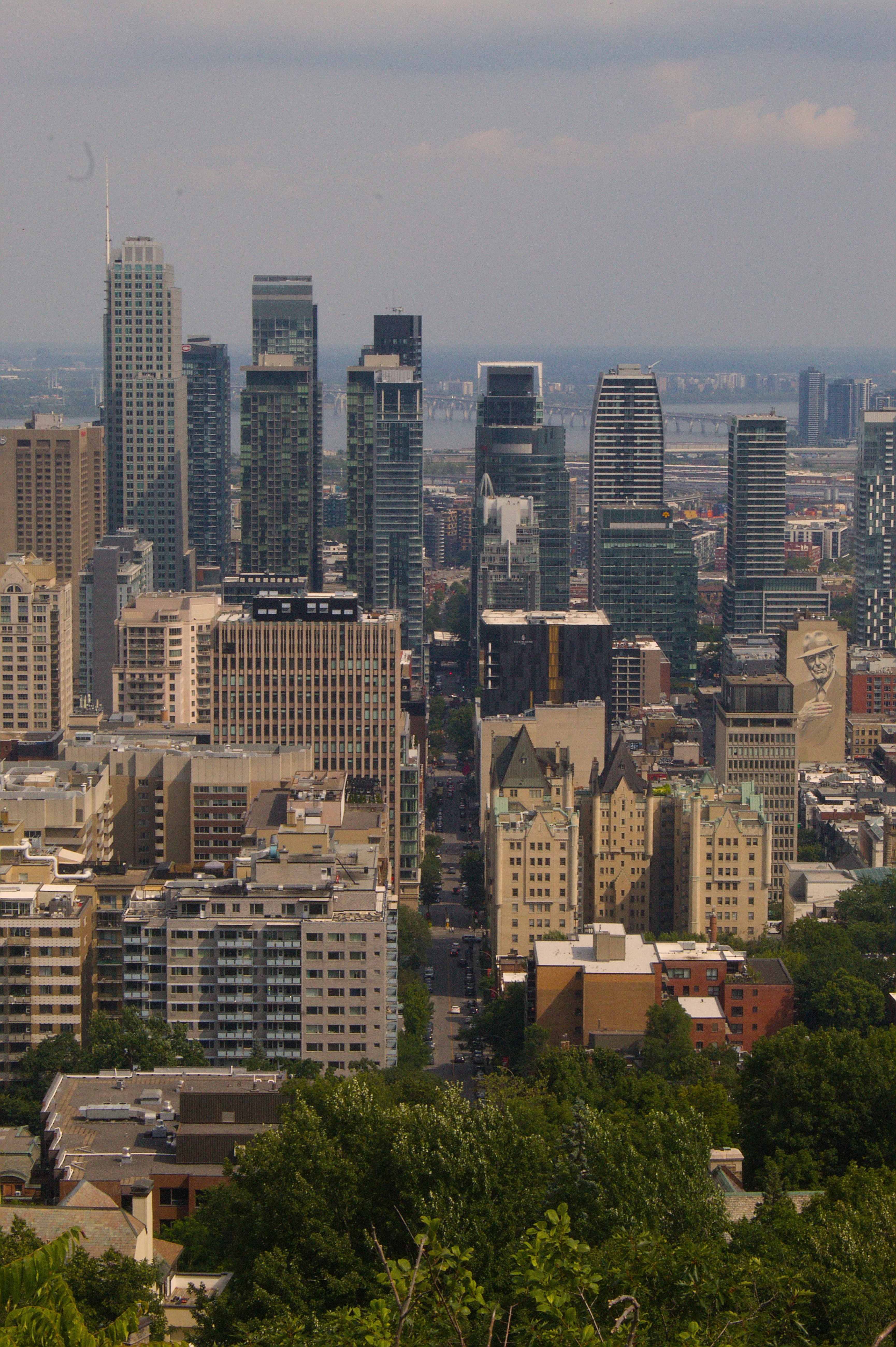 Midday Skyline: A Towering Downtown Canvas