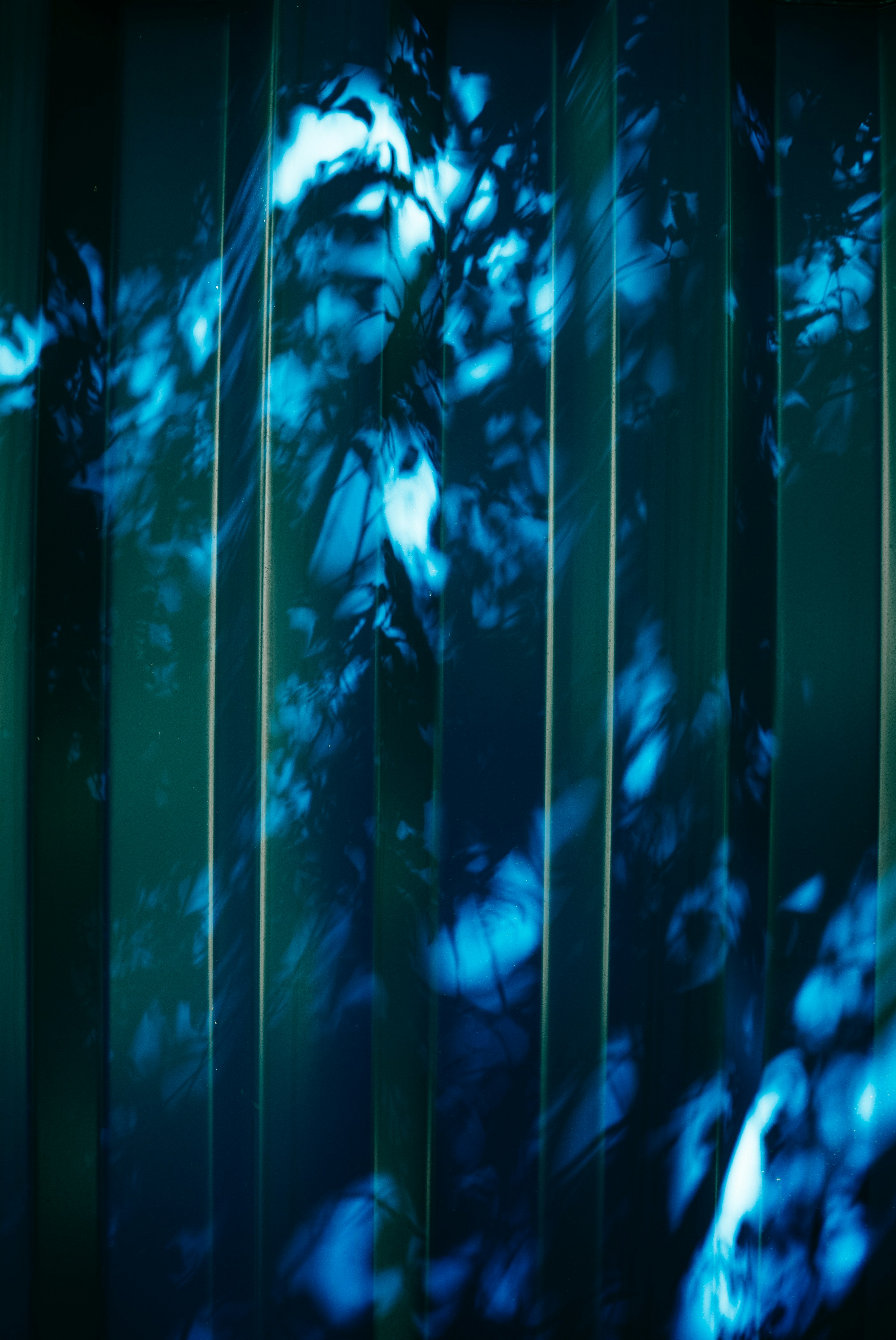Shadows in a Blue Striped Veil