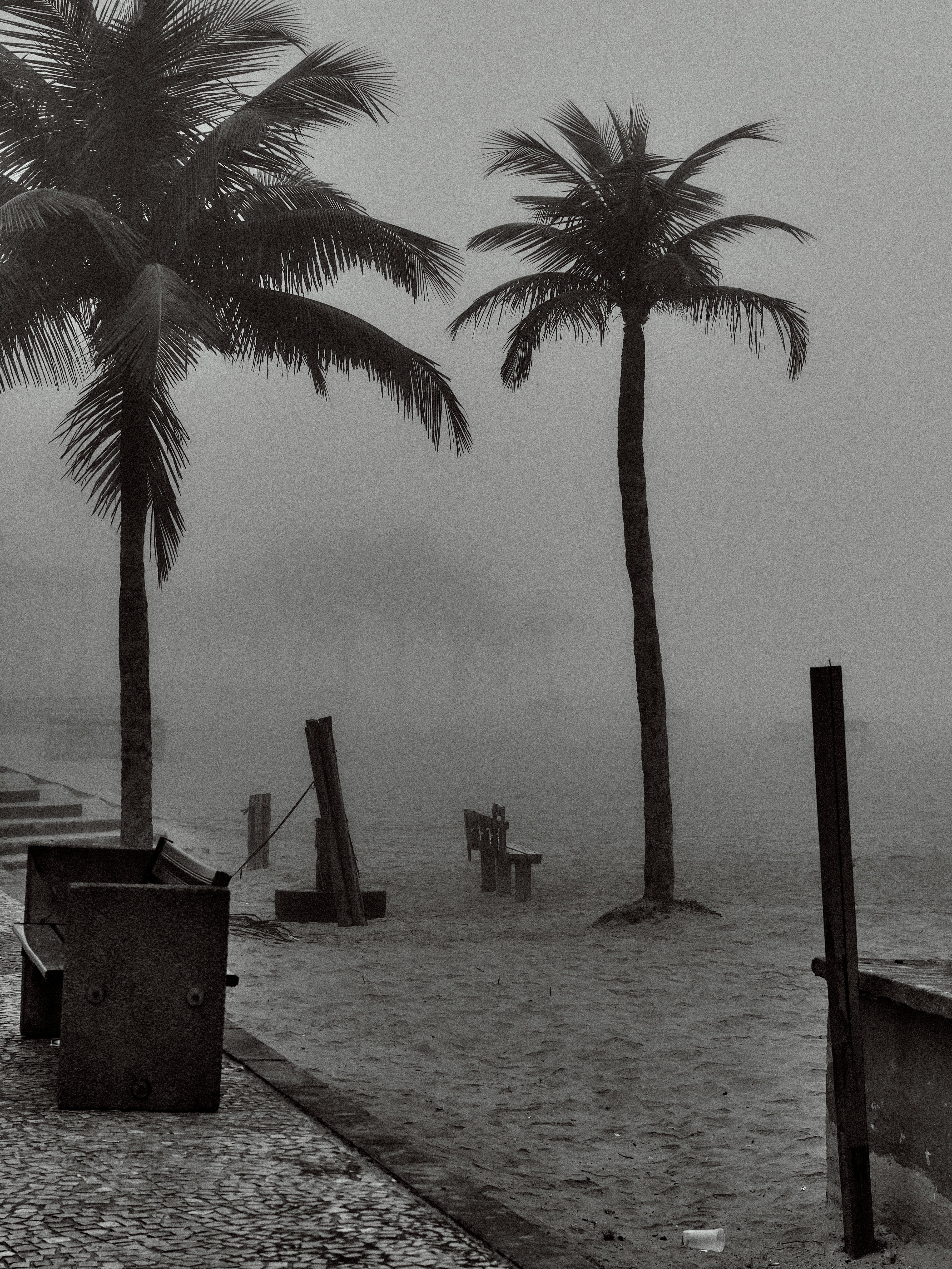A black and white photograph depicting a quiet, foggy day at a coastal beach. Two tall palm trees stand prominently amidst a thick layer of sea mist that obscures the ocean background. In the foreground, a cobblestone walkway borders the sandy shore, featuring empty benches and wooden posts, evoking a feeling of calm solitude and atmospheric mystery.