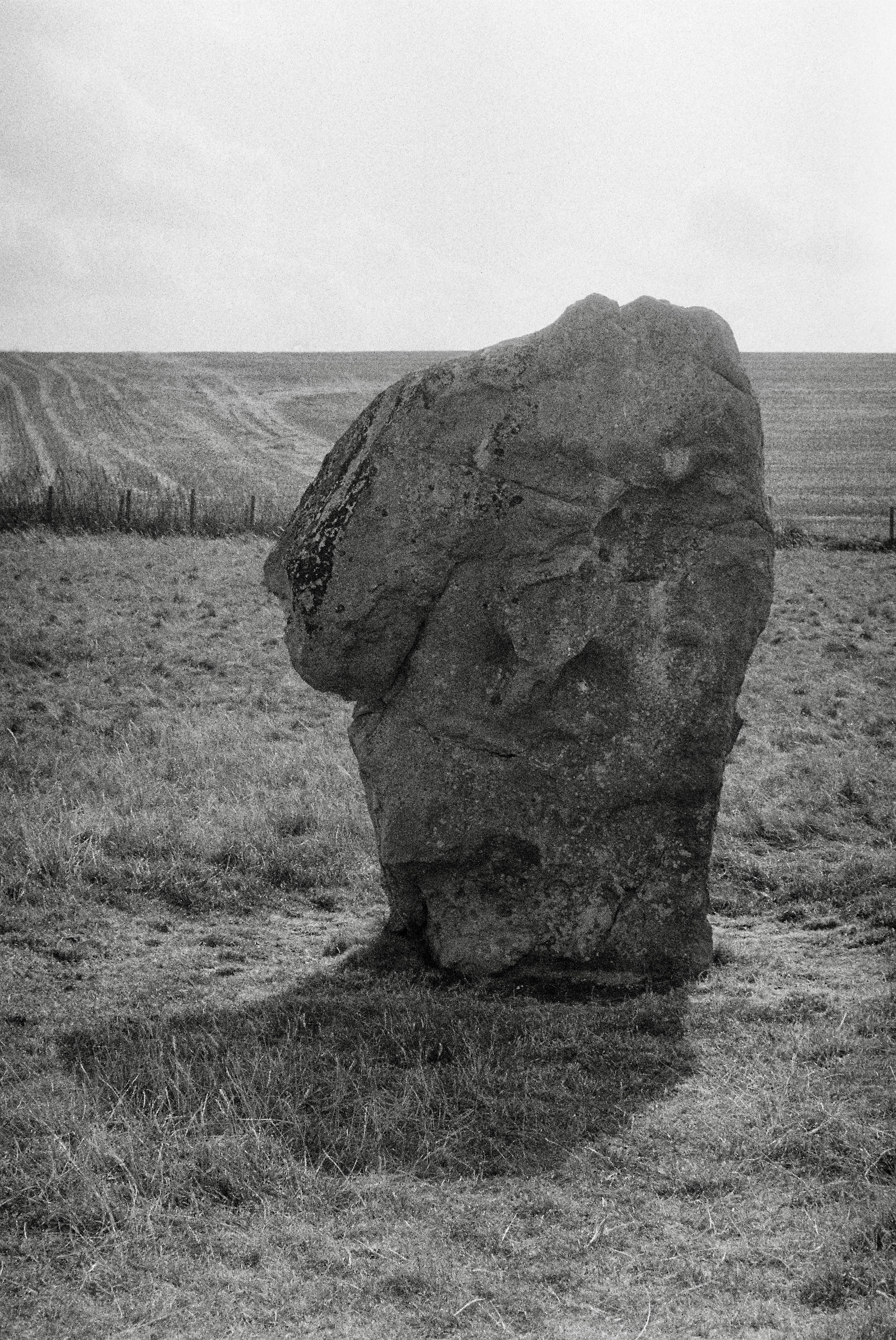 A Weathered Sentinel: A Stone Head Standing in an Open Field