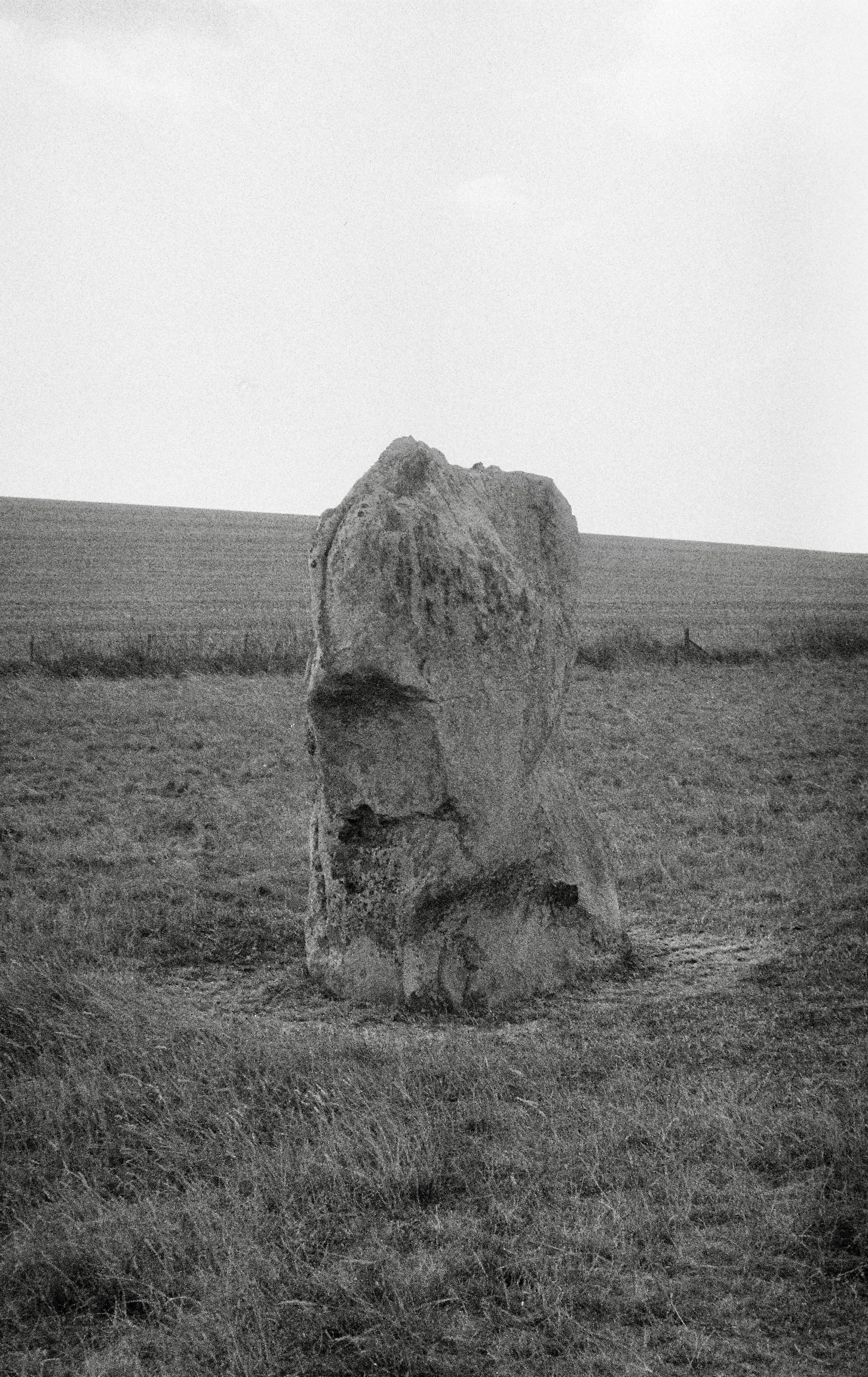 Stone Sentinel at the Edge of the Field