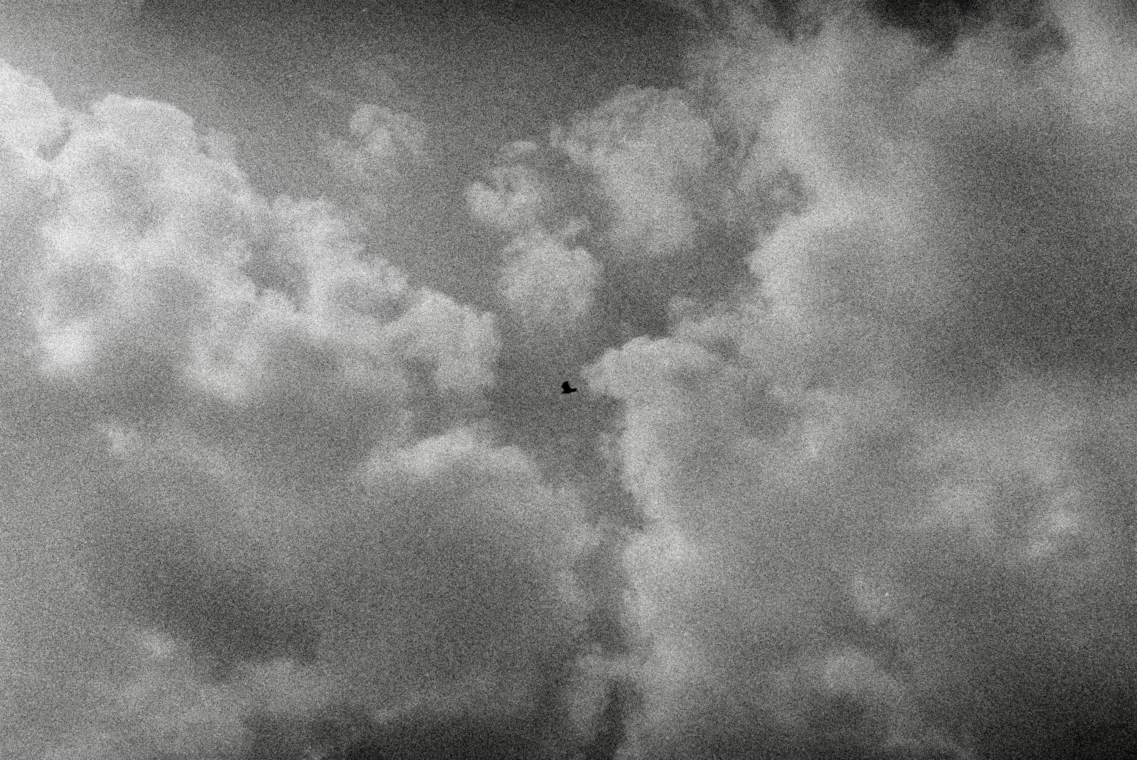 Isolated Speck in a Sea of Clouds