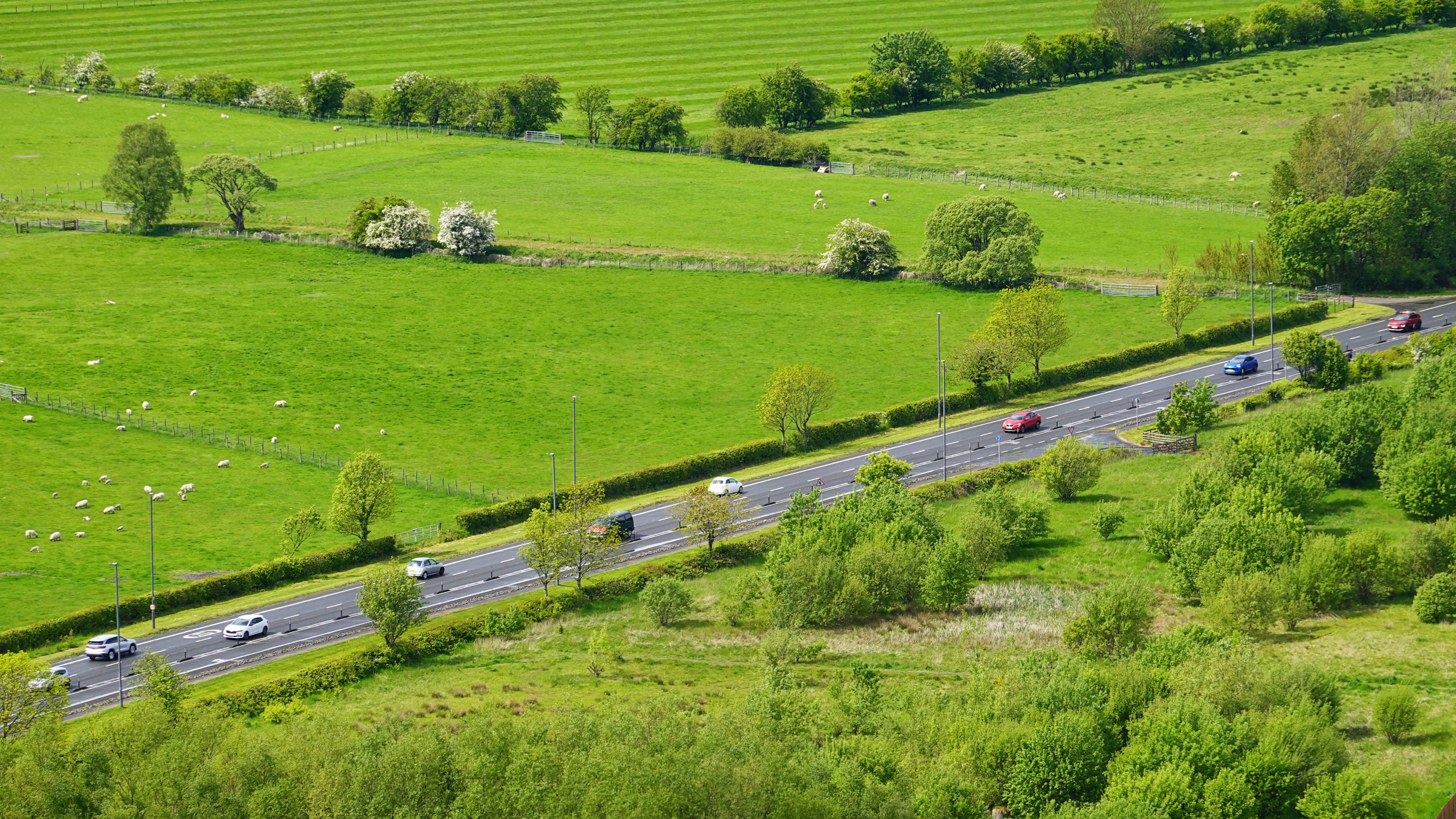 Lush countryside highway slicing through emerald fields
