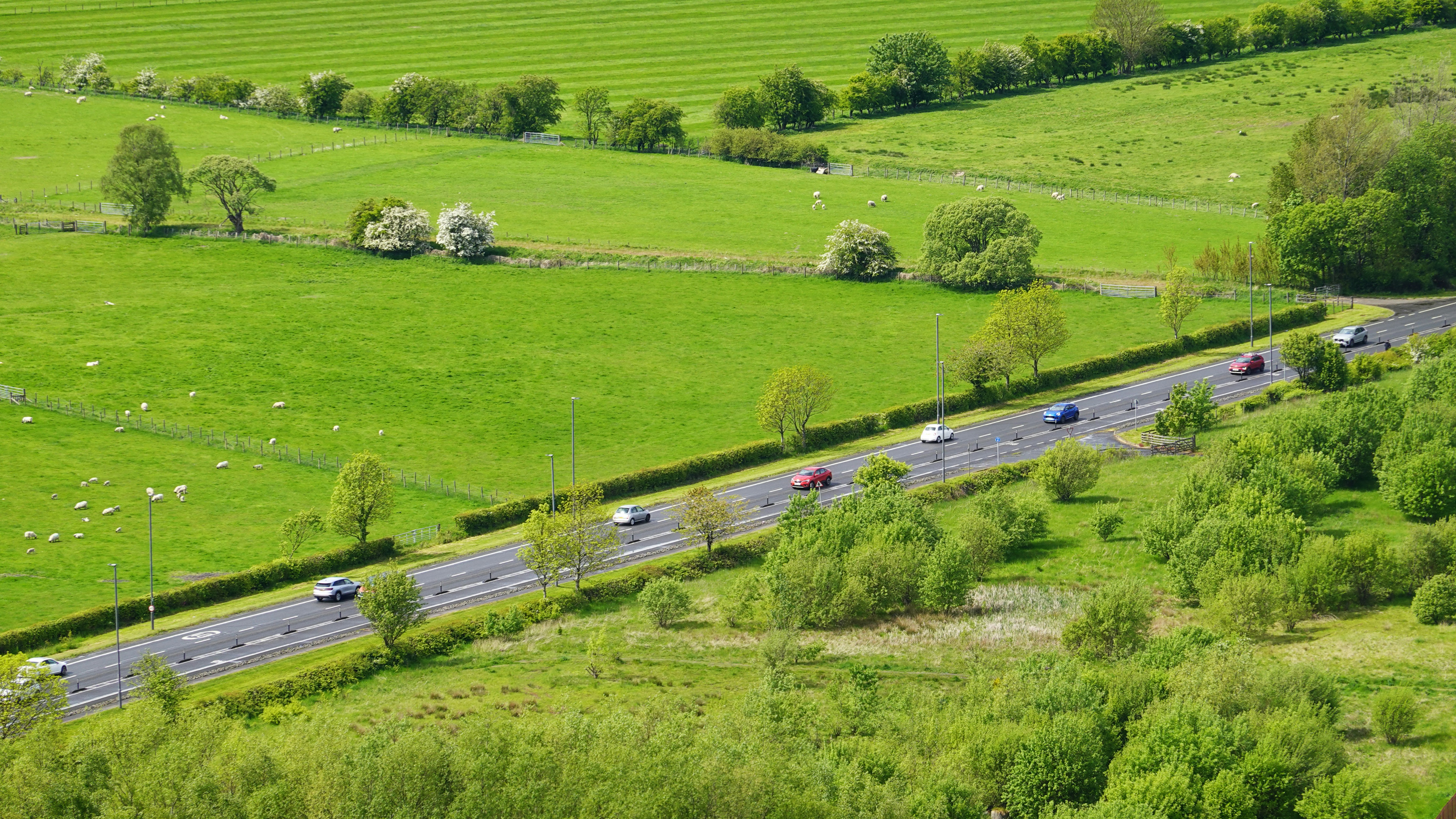 Carve through the Green: A ribbon of asphalt cutting the countryside
