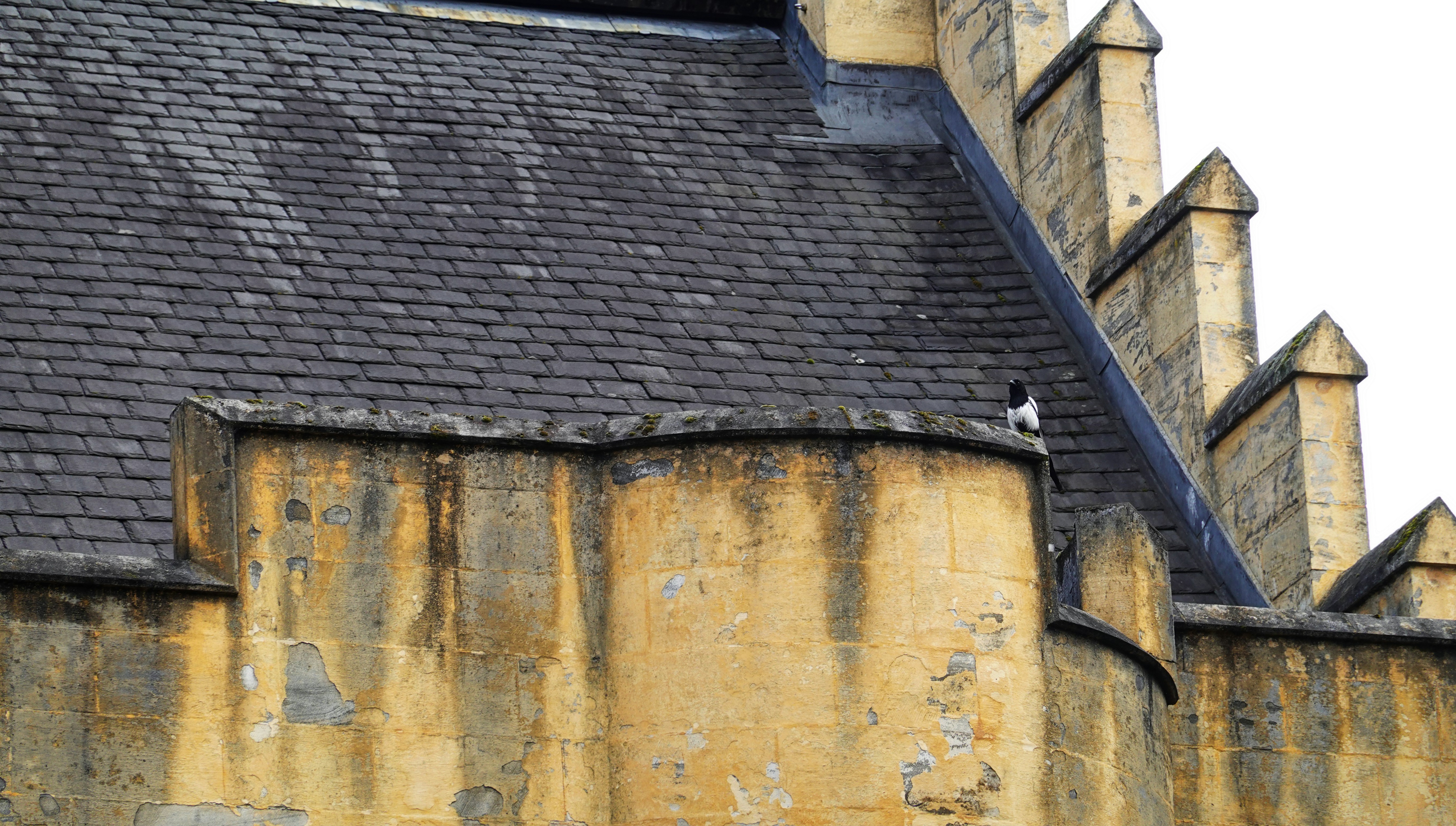 Weathered Bastion: A Singleton of Stone Under Slate Crown