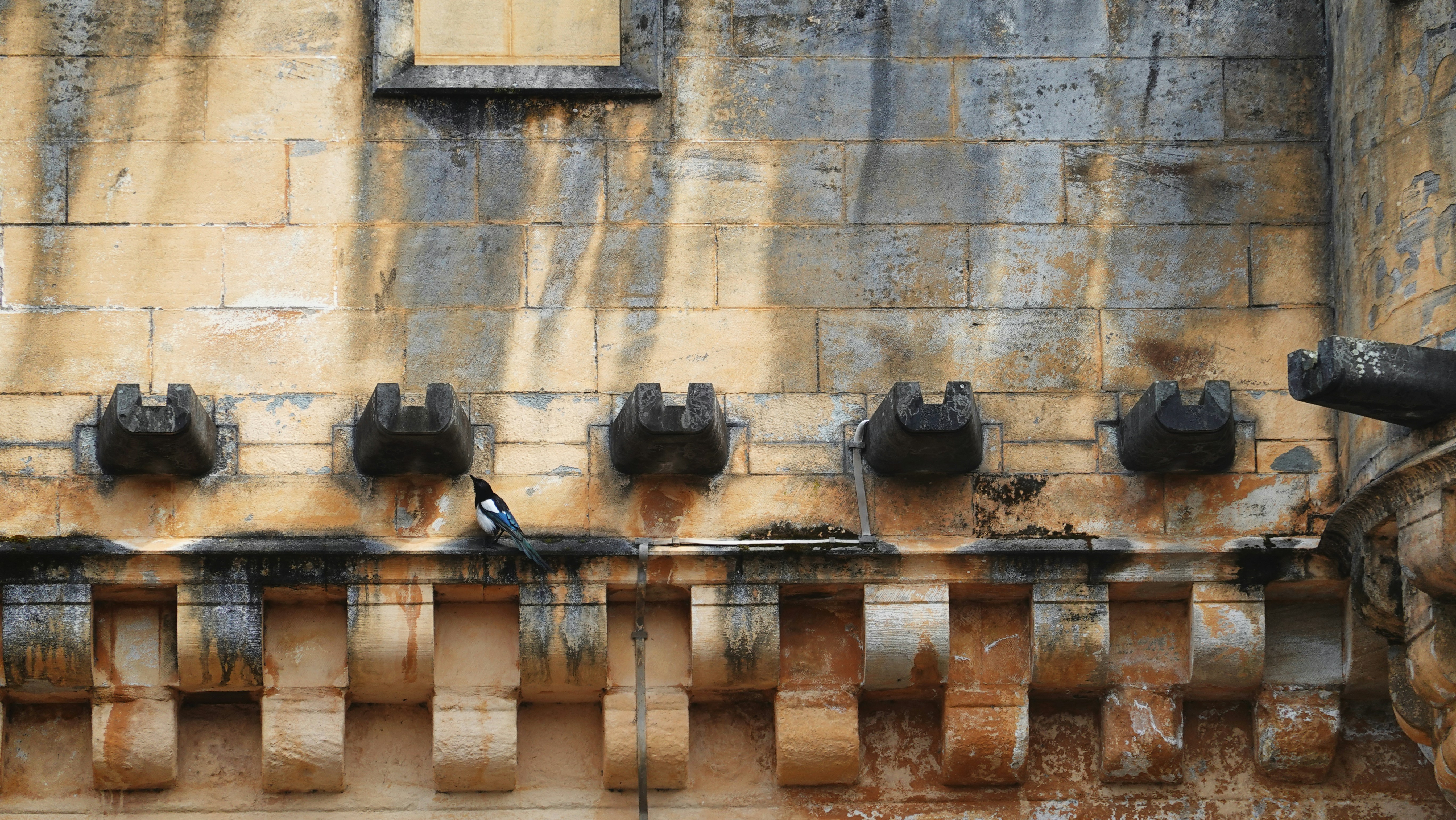 Weathered Stones and Hidden Shadows