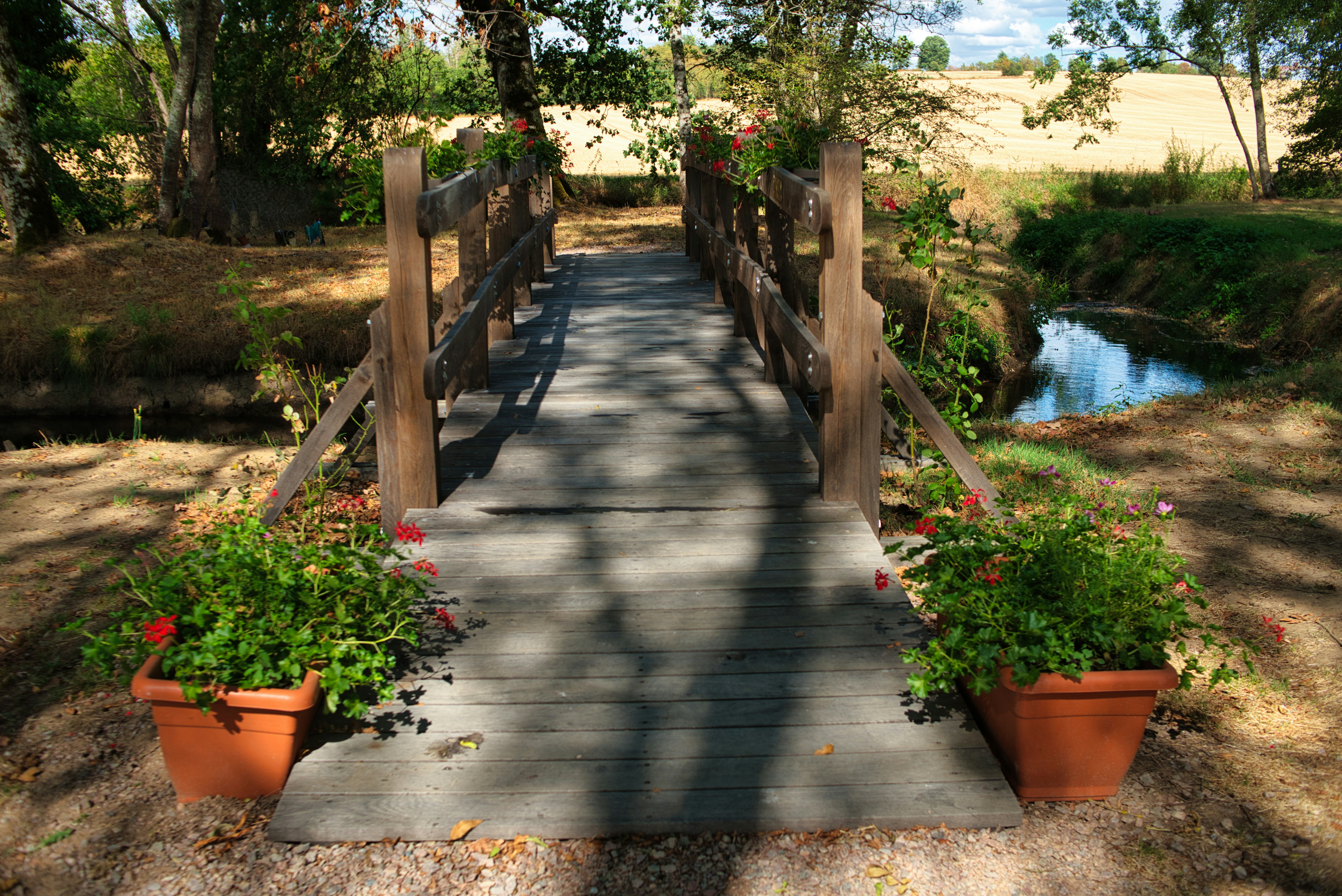 Wooden Footbridge Framing a Sunlit Meadow