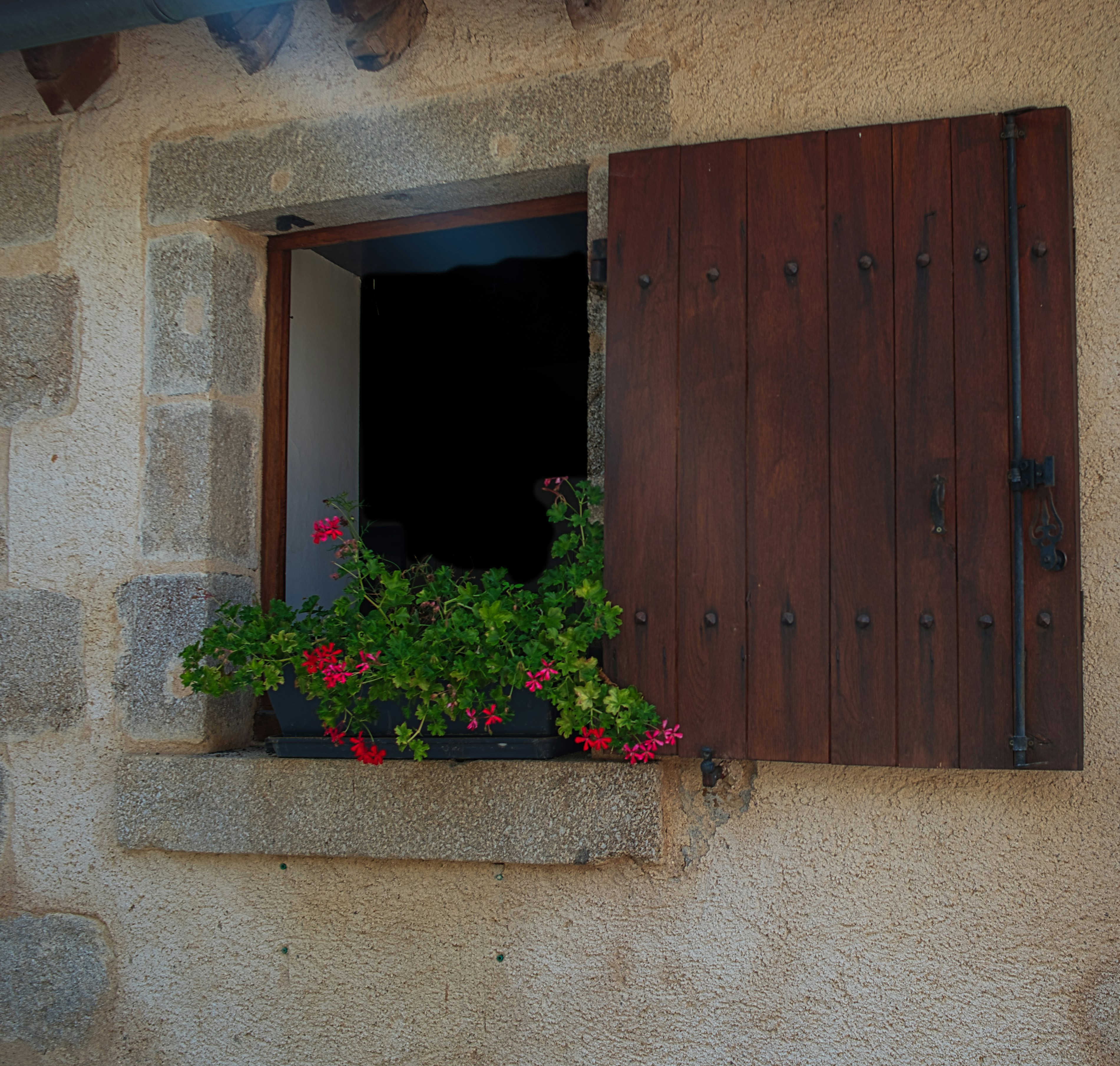 Windowbox of Color: A Rustic Hearth with Crimson Petals
