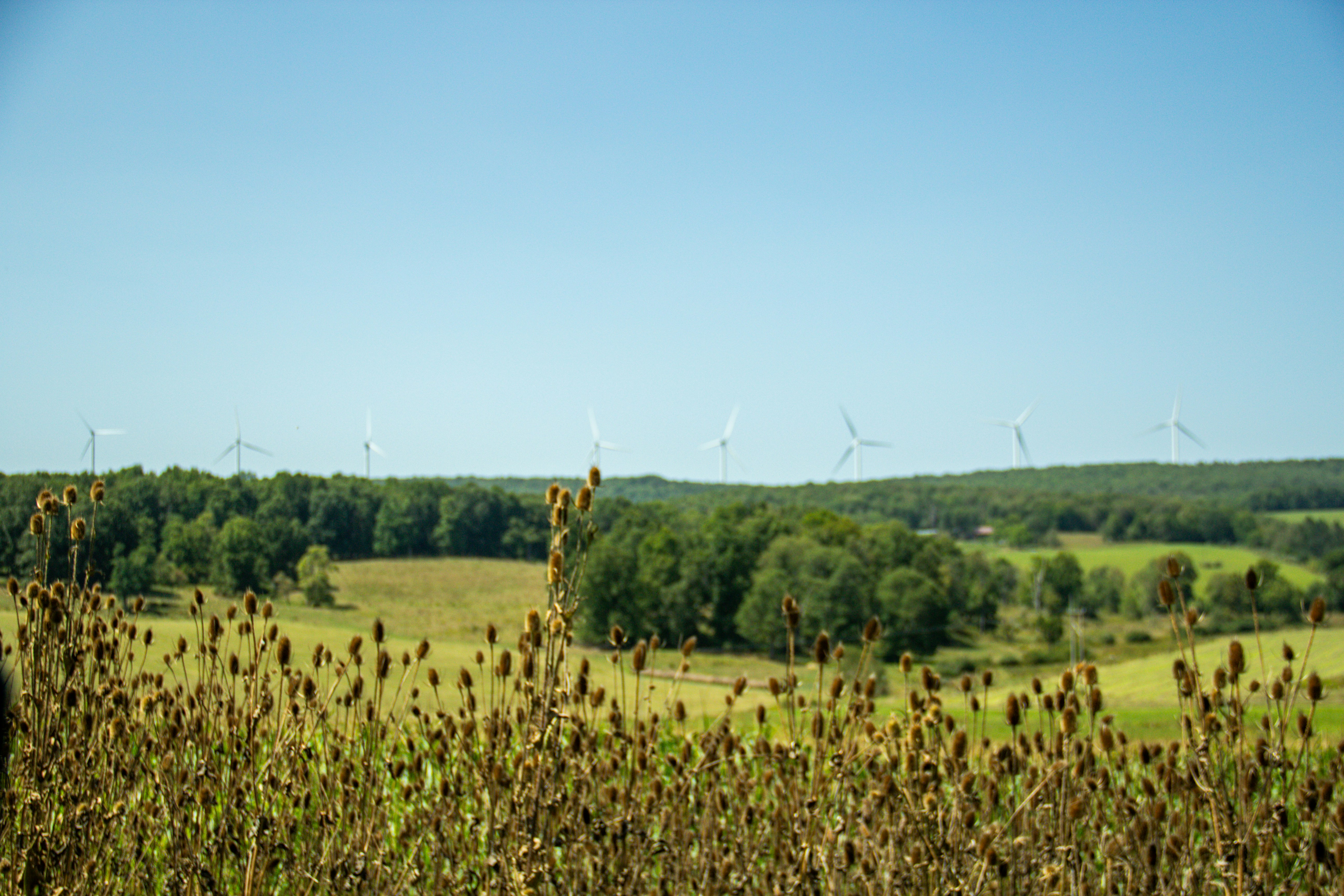 Field Fieldlines under a Row of Watching Wind Turbines