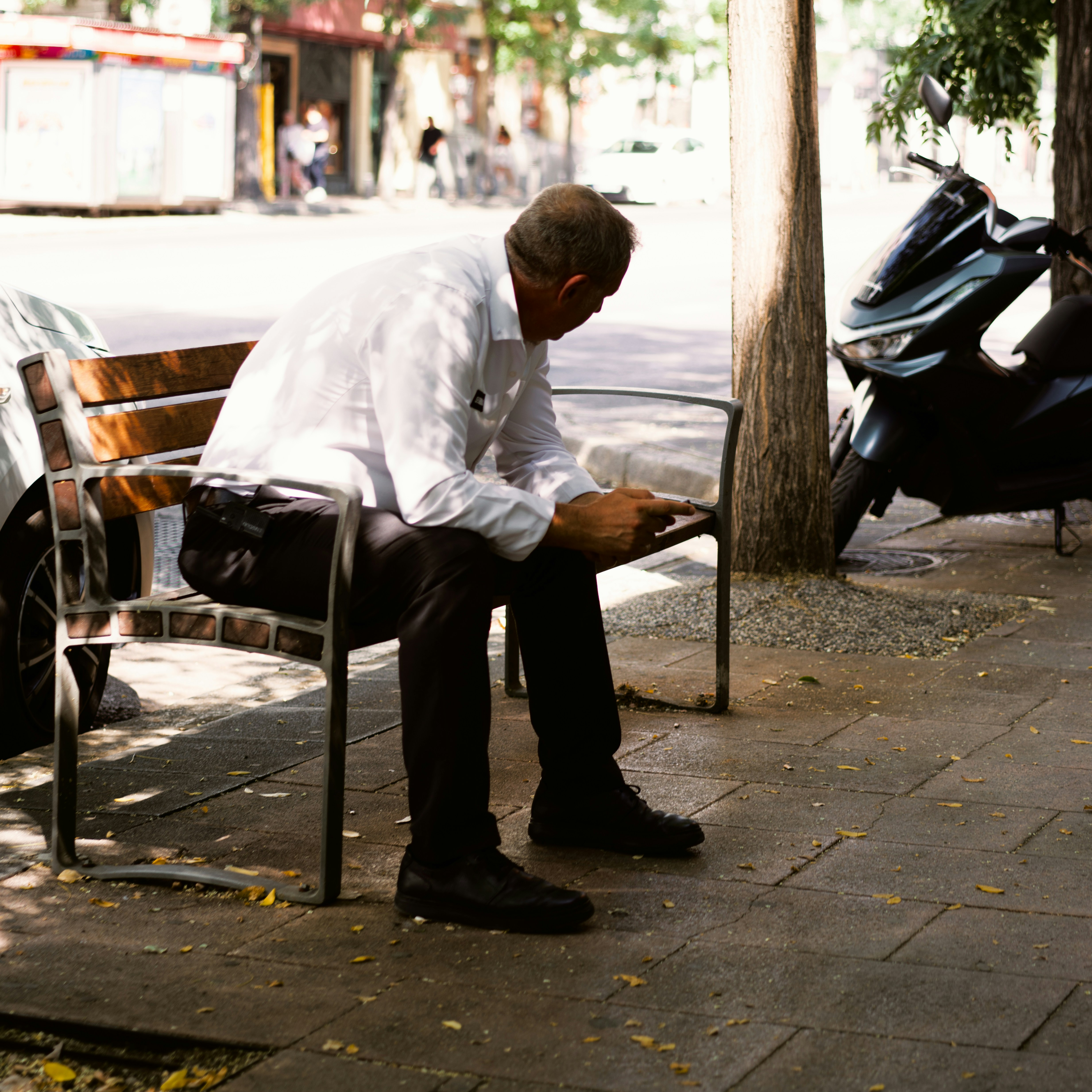 Benchside Moment: The Reader in Quiet Urban Light
