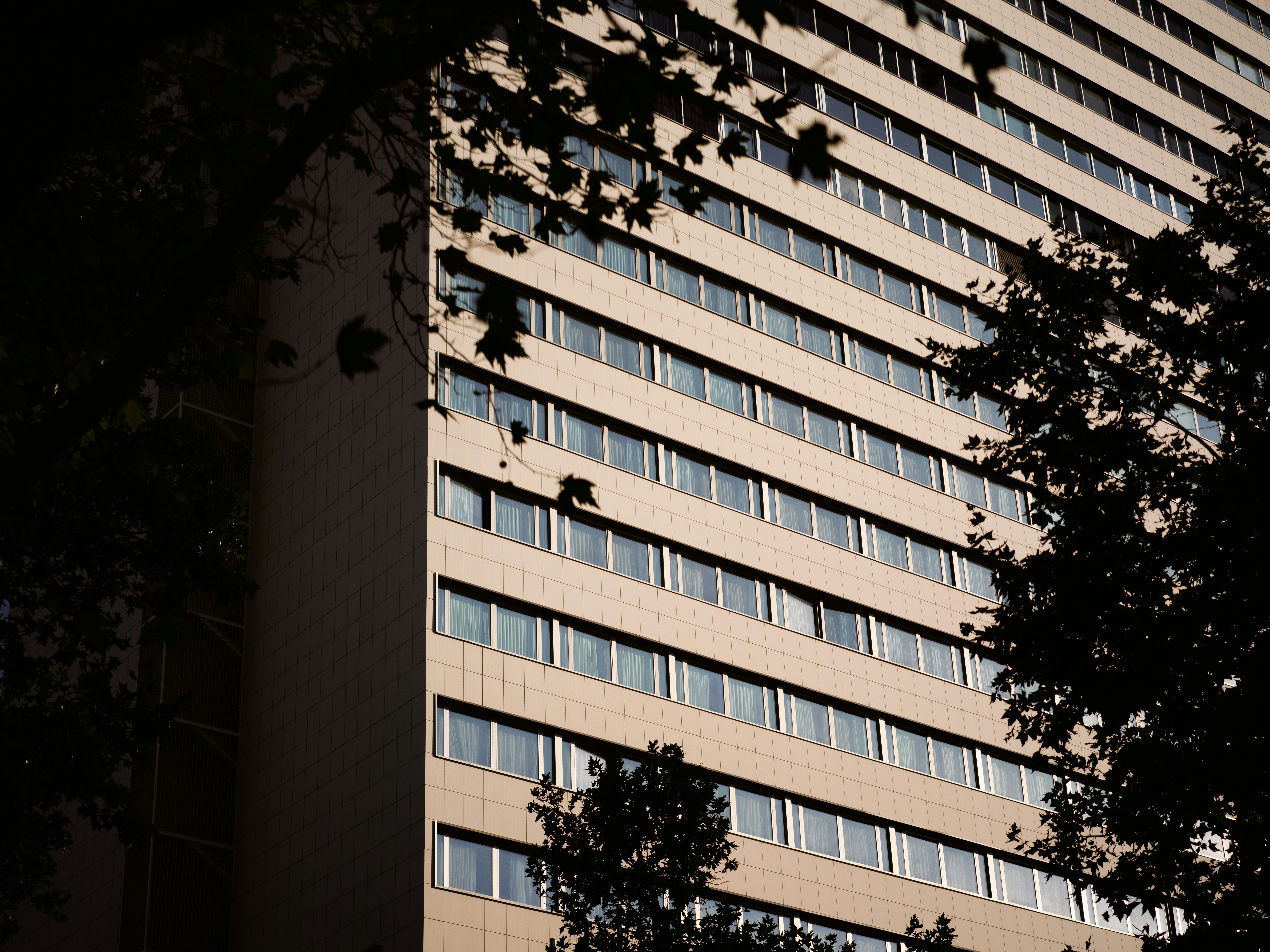 Facade Rhythm: A High-Reat of Windows and Shadows