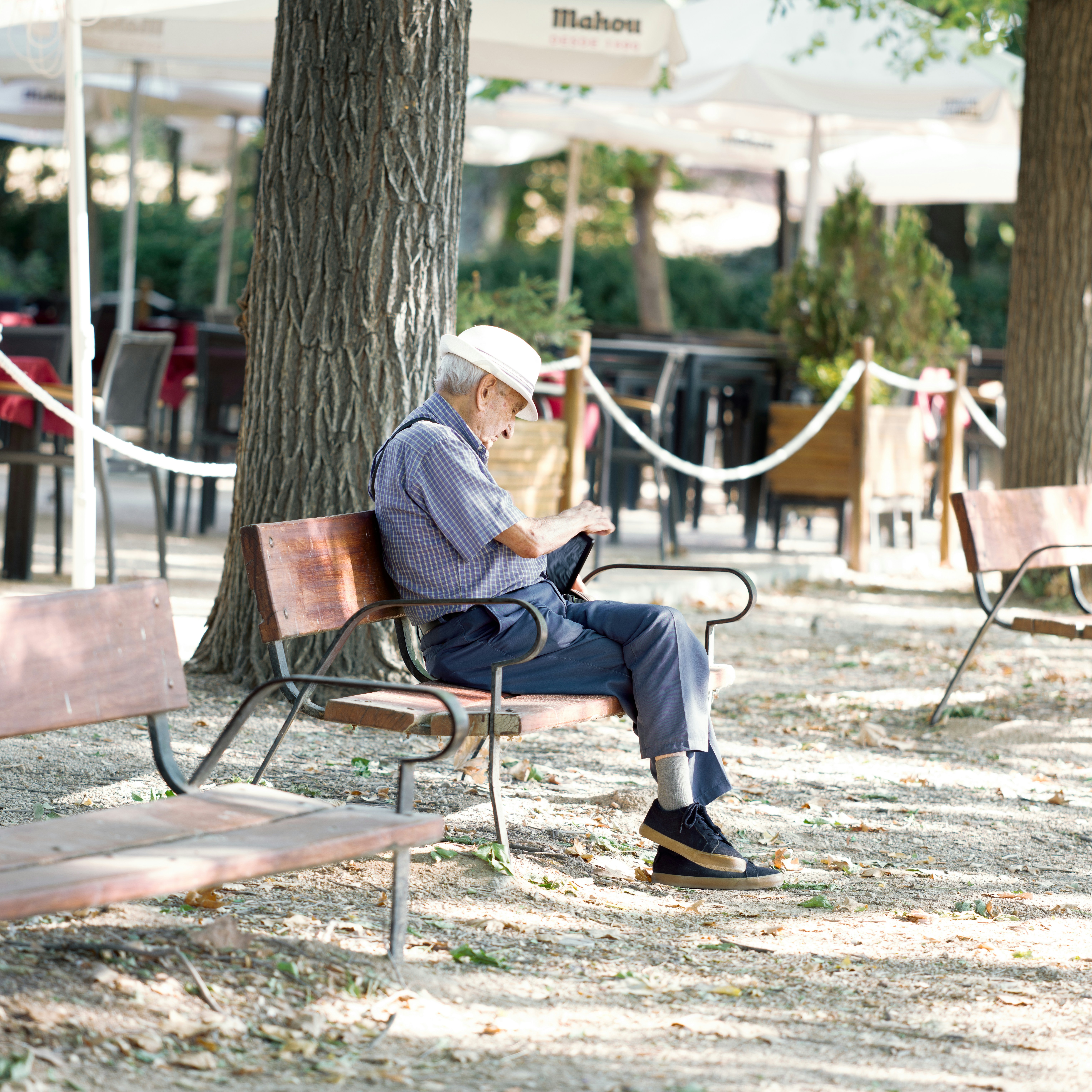Solitude in the Shade: An Elderly Gentleman in a Park Bench