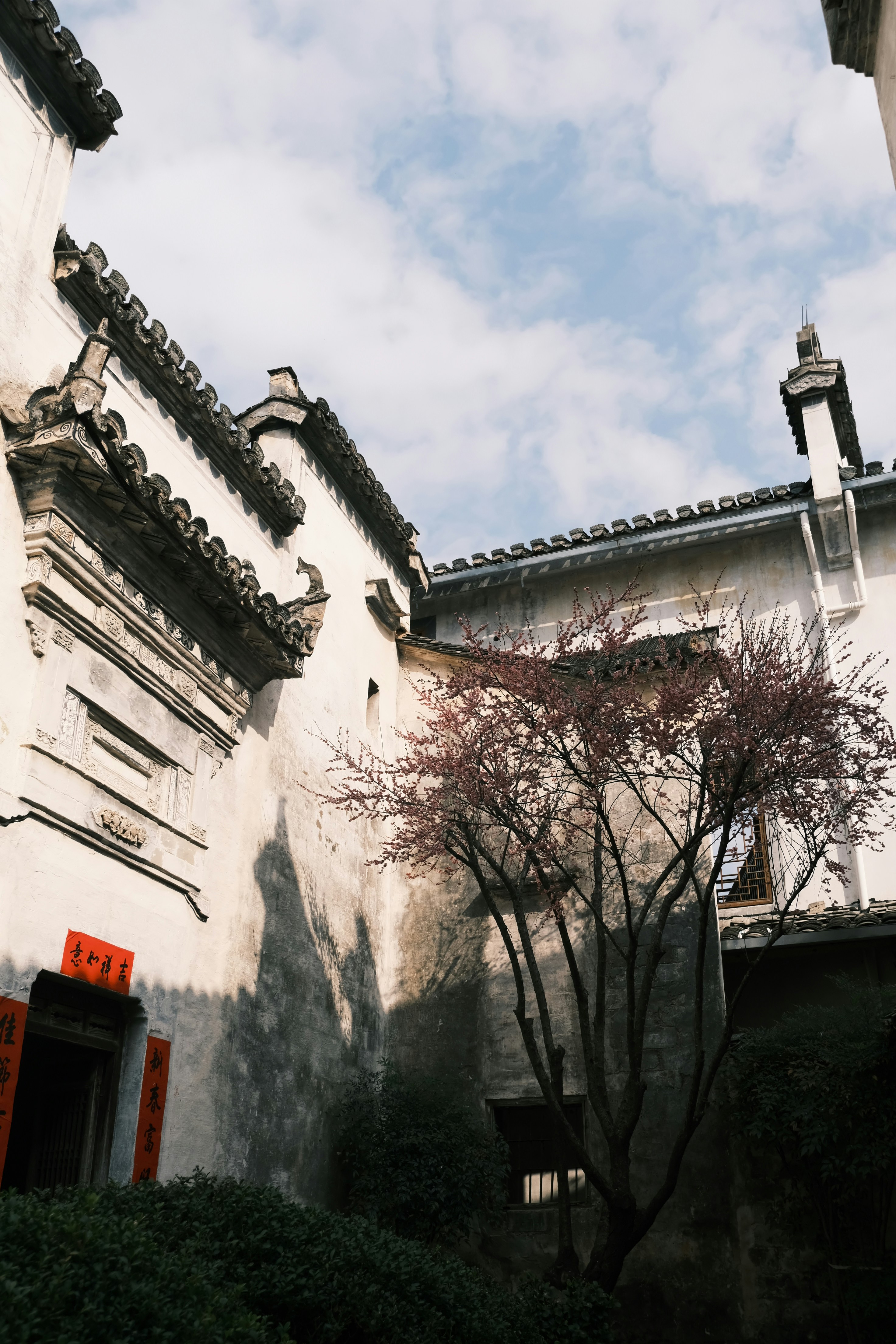 Quiet Courtyard with Blooming Tree Under Ancient Rooflines