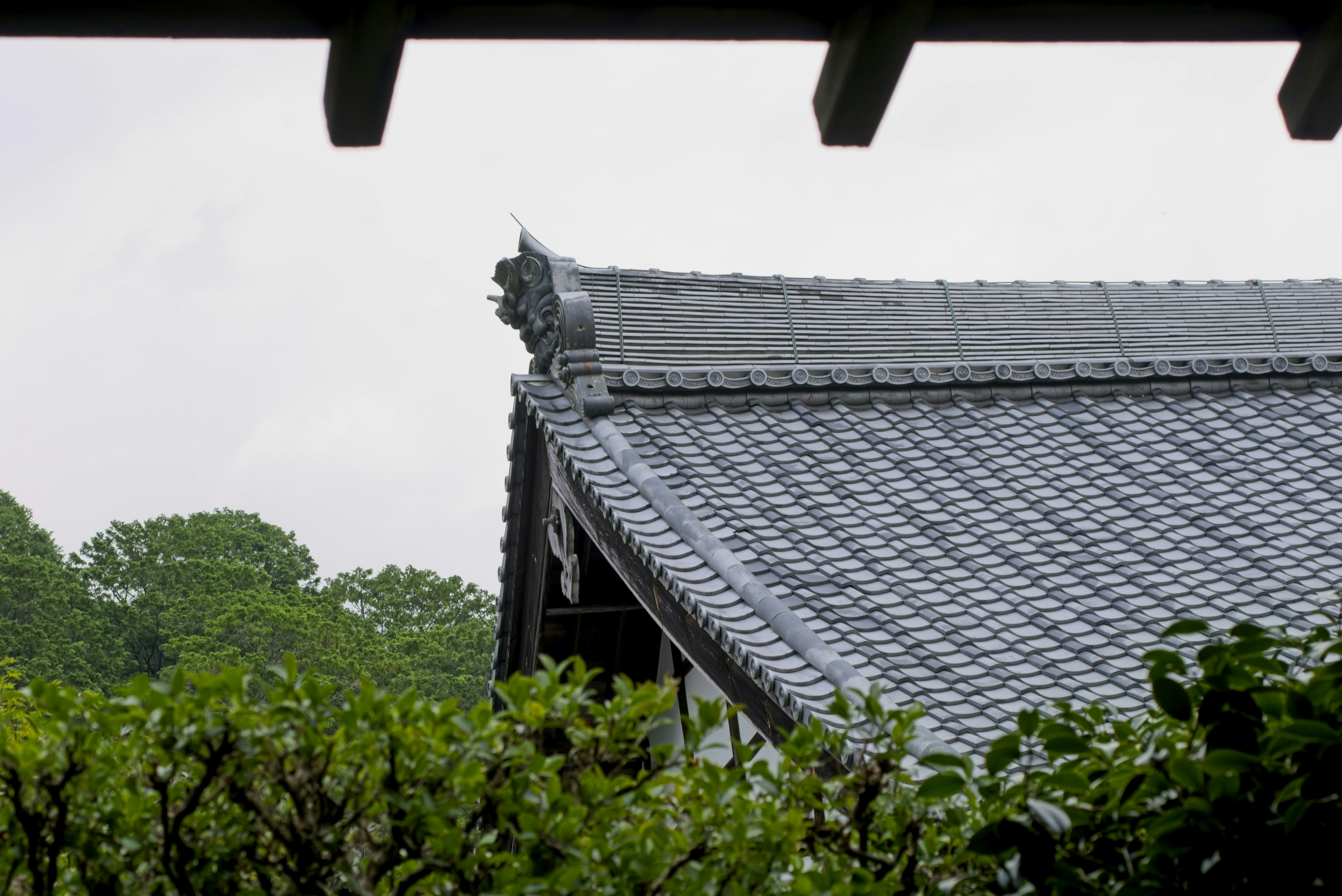 Temple Roof Lines Meet Verdant Haze