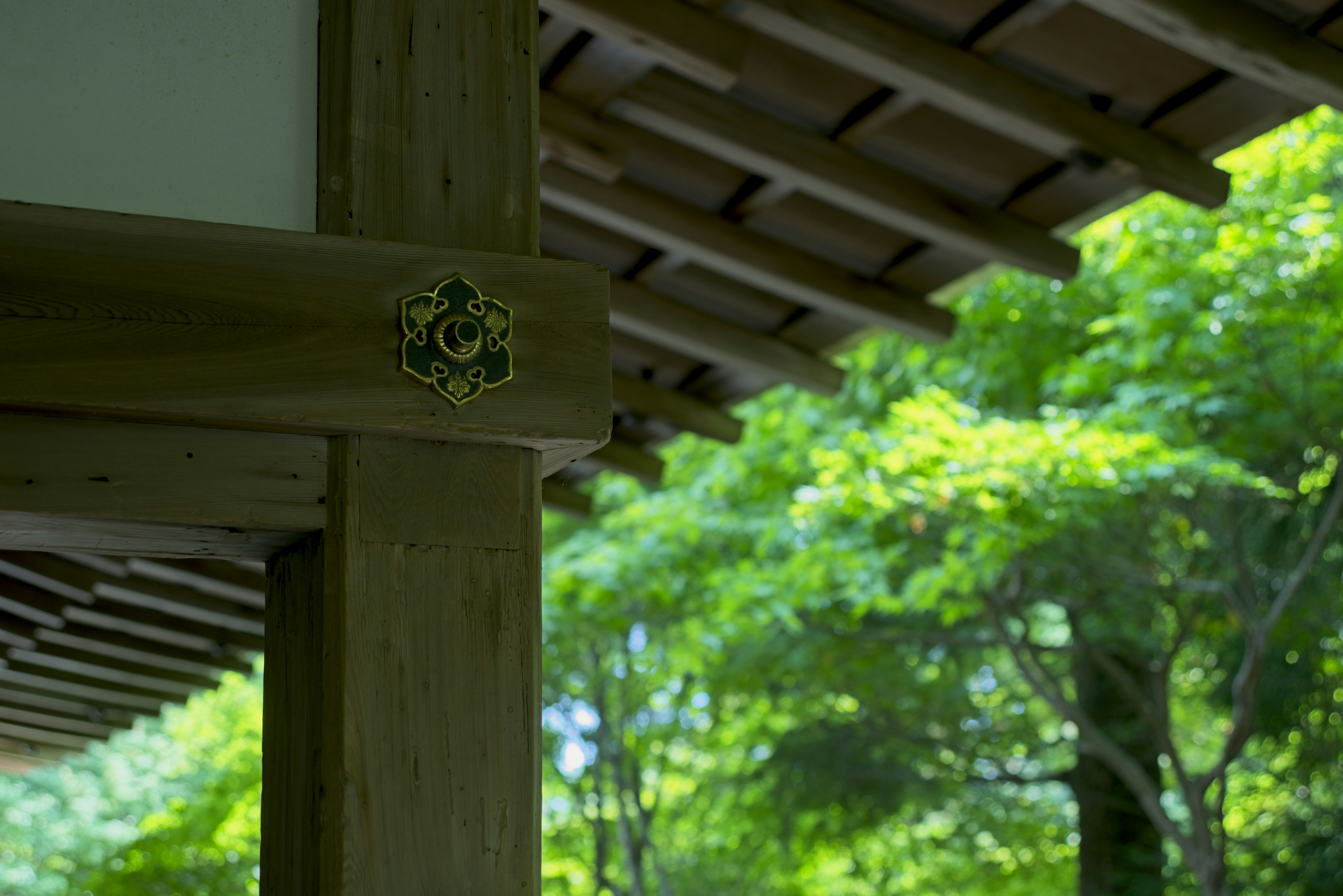 Wooden Corner of a Shrine Roof with Verdant Backdrop
