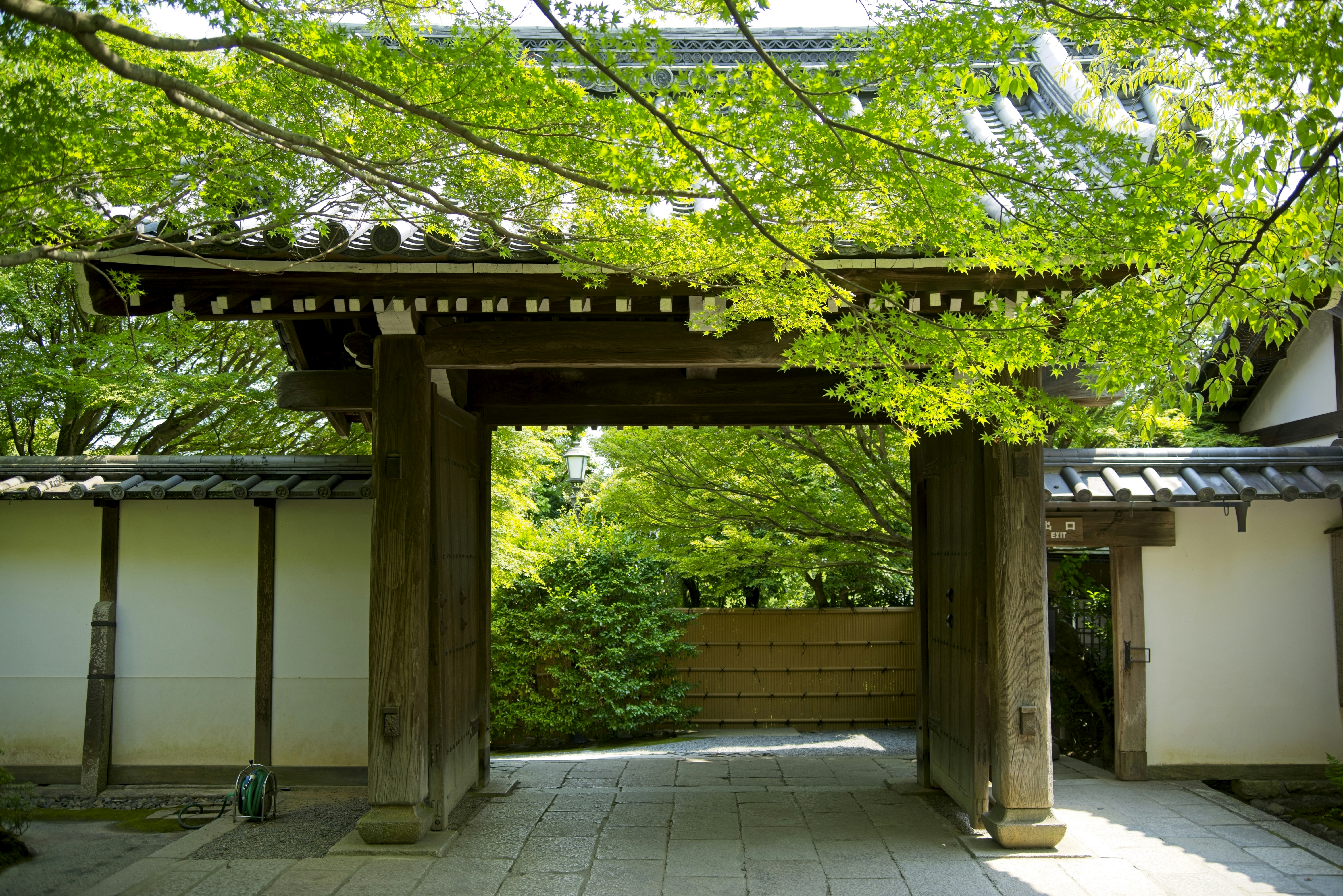 A traditional wooden gate with a tiled roof marks the entrance to a courtyard at Ryōan-ji in Kyoto, framed by overhanging maple branches heavy with fresh green leaves on a hot, hazy summer afternoon in July. A stone-paved path leads through the open gate toward a bamboo fence and lush garden beyond, while whitewashed walls extend on either side. Soft dappled sunlight filters through the canopy, illuminating the ancient timber structure. This picturesque gateway captures the quiet, refined elegance typical of Kyoto's historic temple entrances.