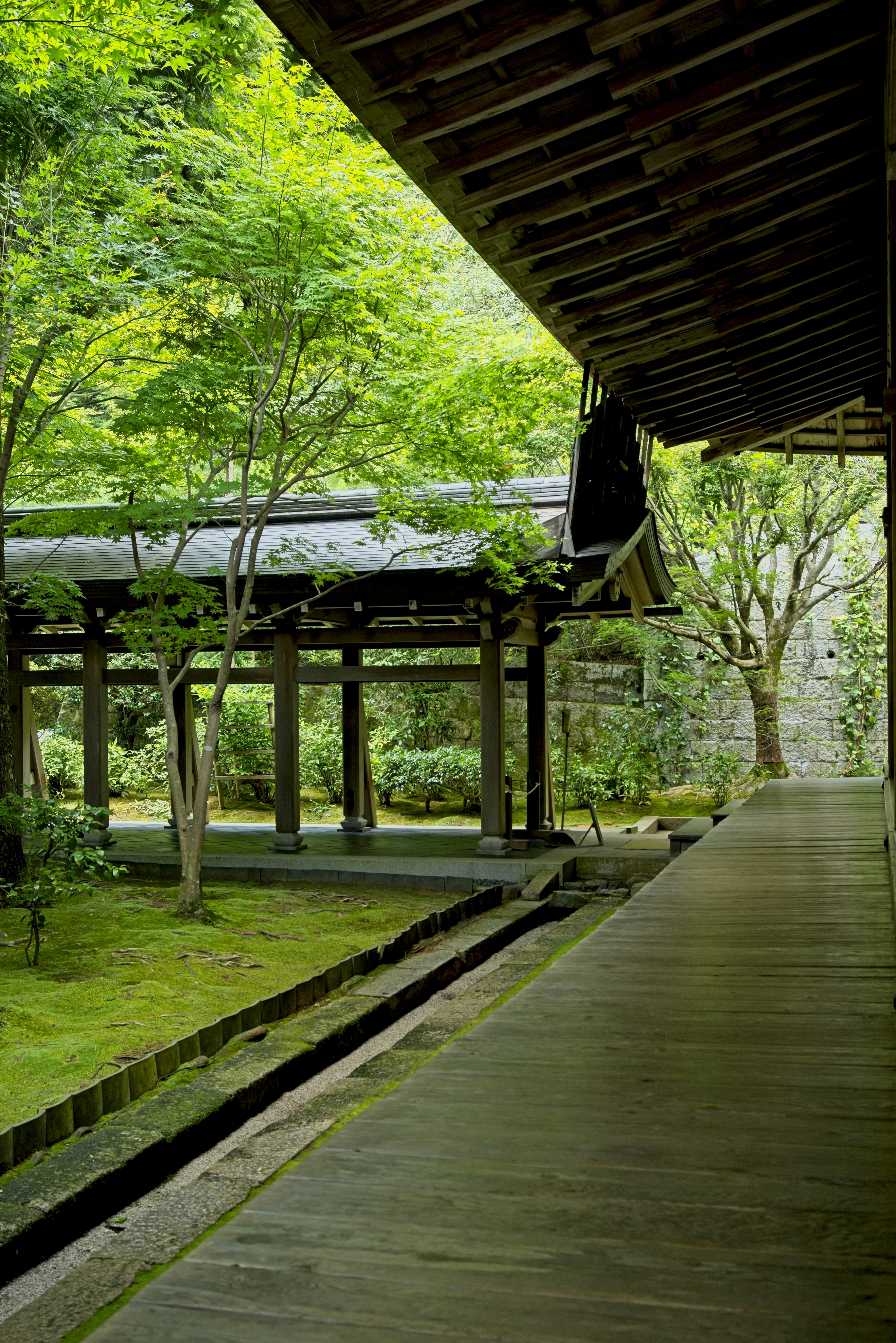 Shaded walkway of a traditional Japanese structure meets verdant courtyard