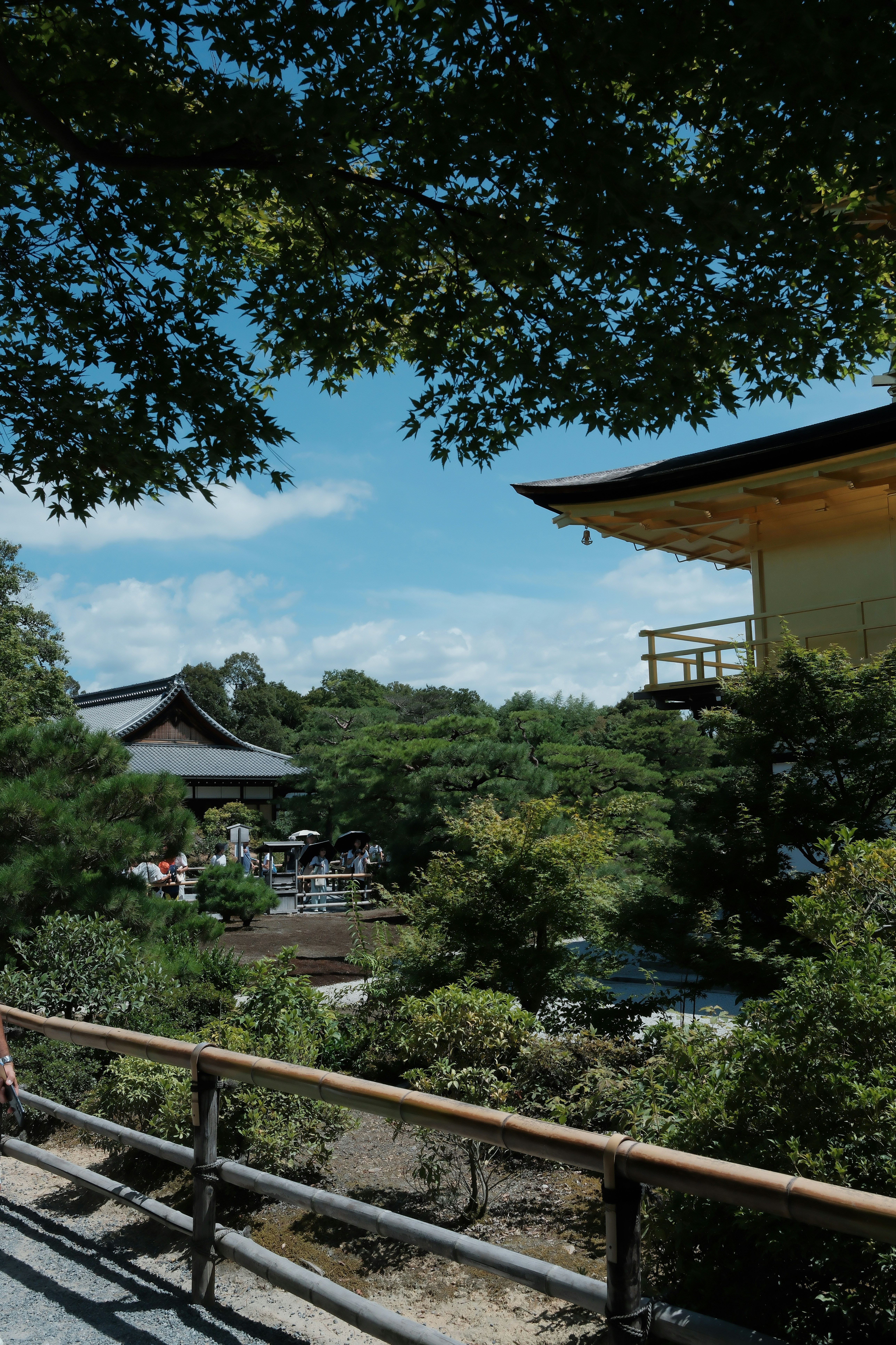 Quiet Zen Garden Courtyard with Classic Japanese Architecture