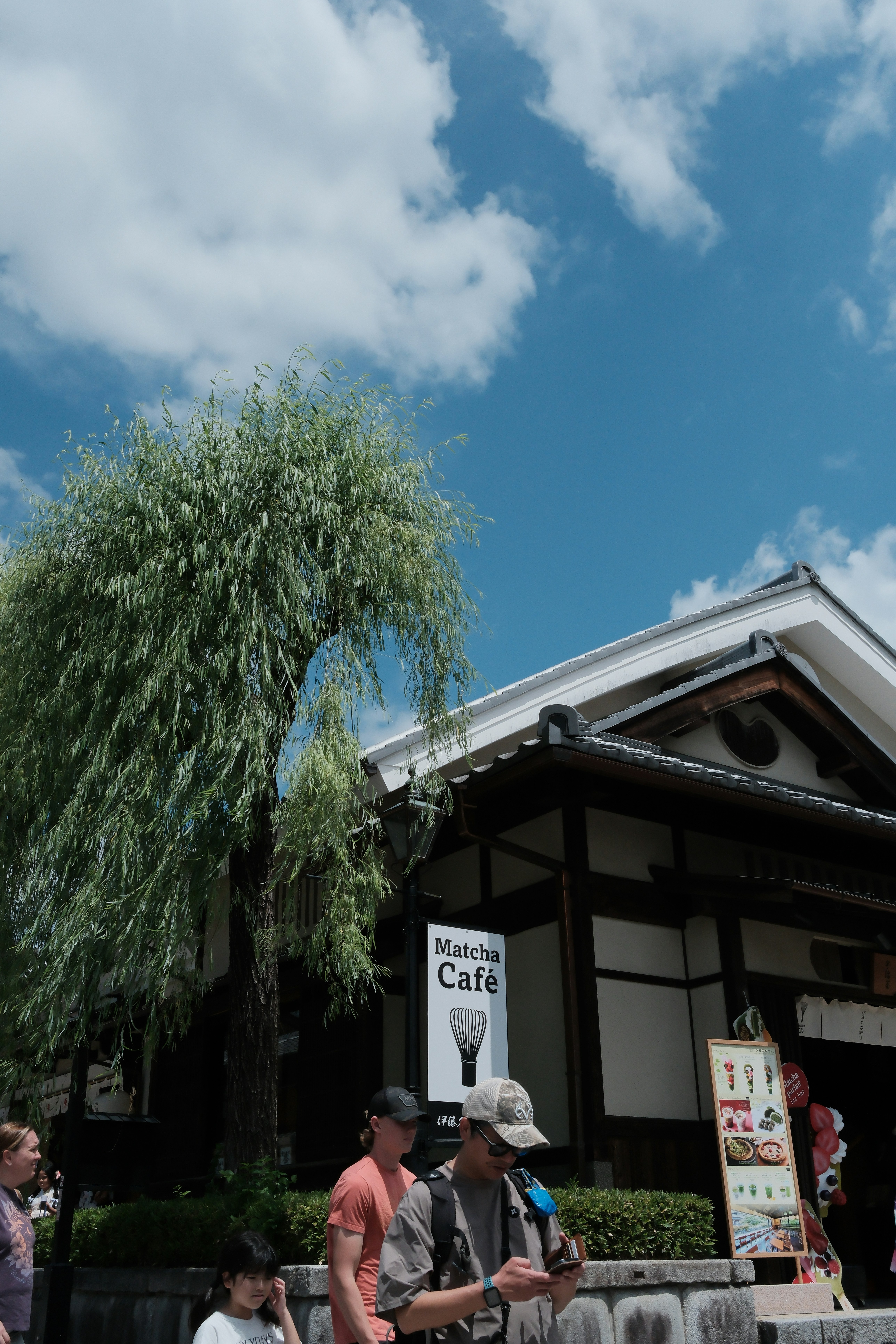 Cafe Corner under a Weeping Willow