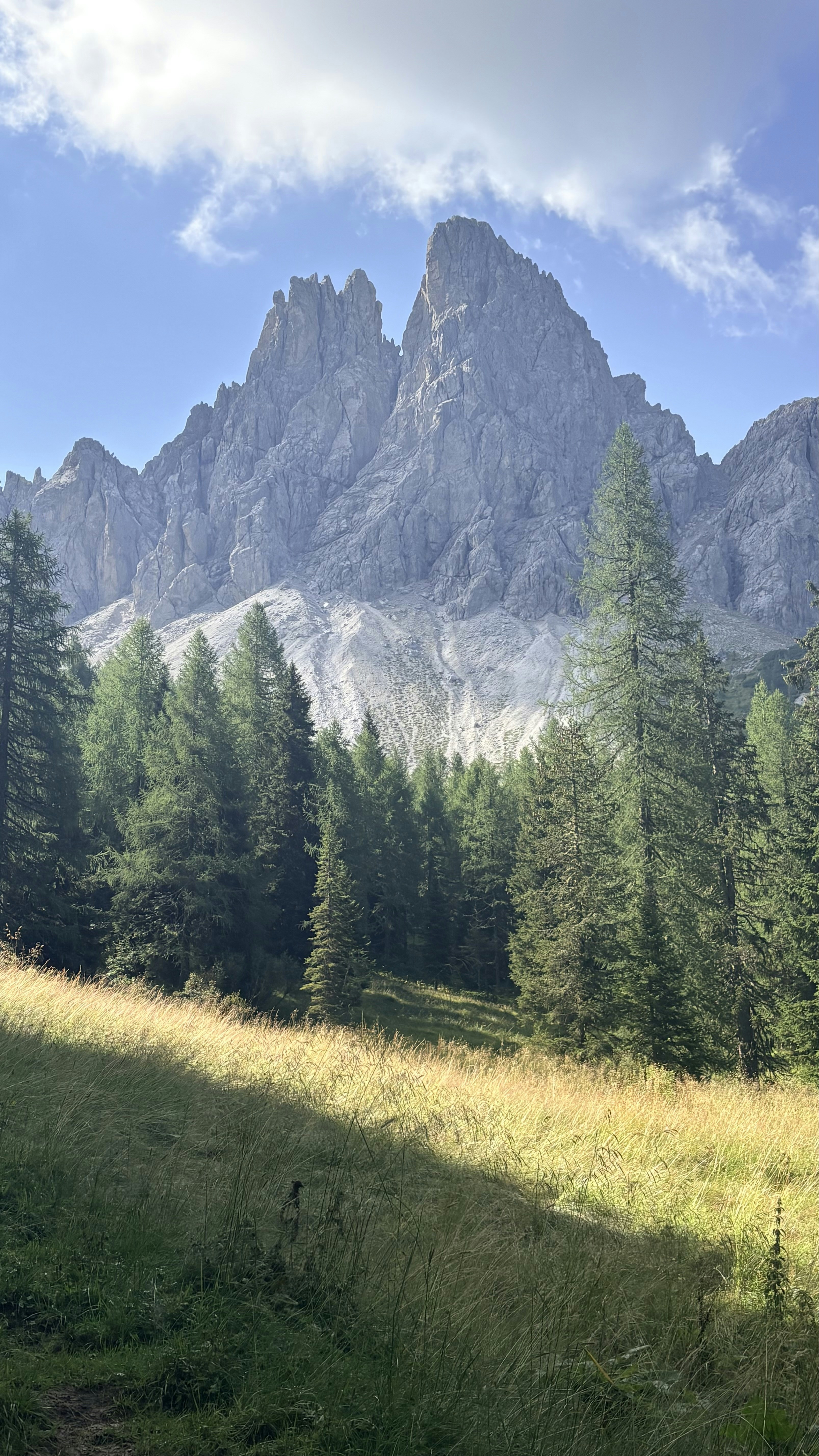 Gilded Ridge: A Sunlit Alpine Meadow before Jagged Peaks