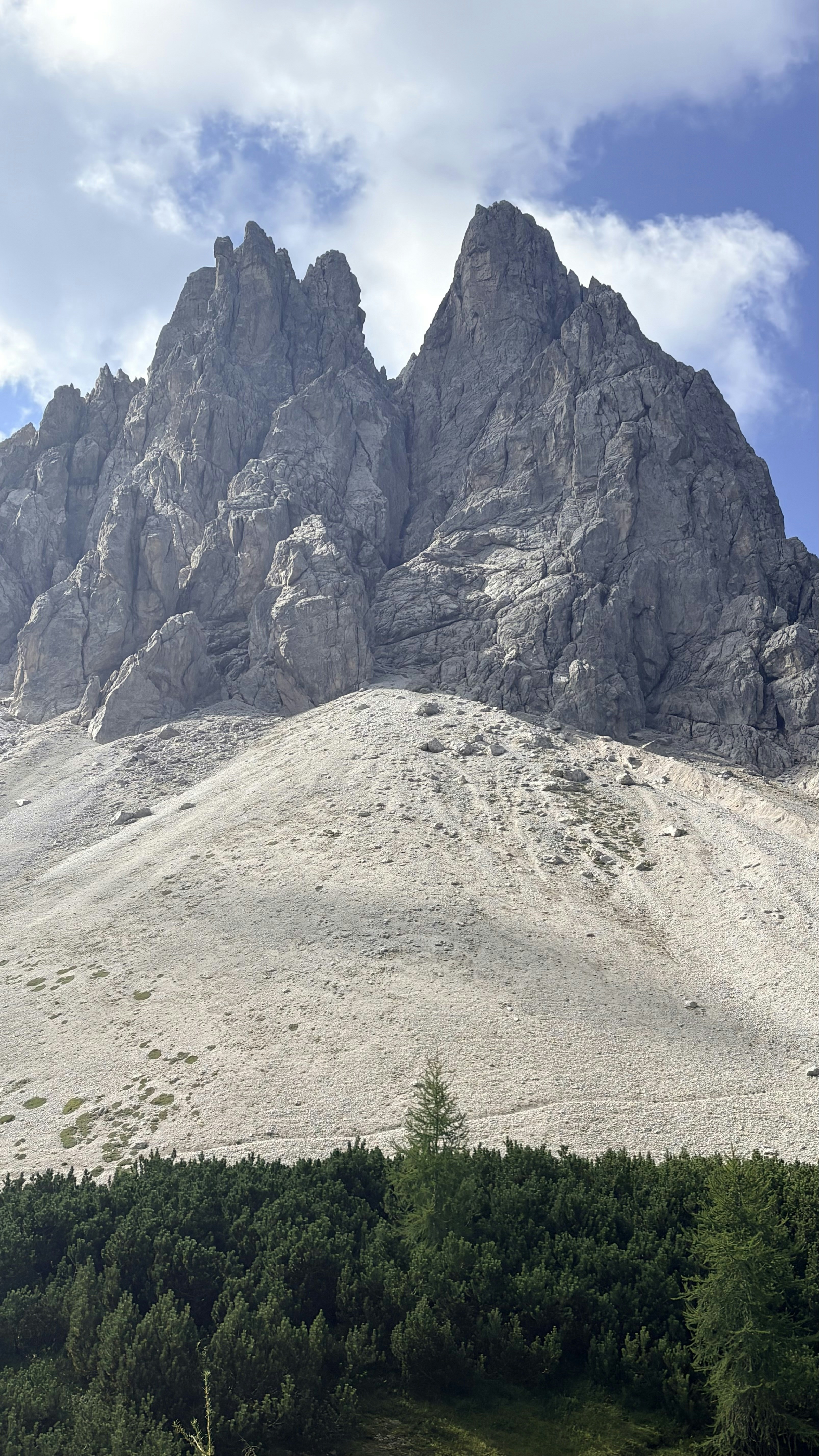 Towering Granite: Peaks Rising Above the Sparse Slopes