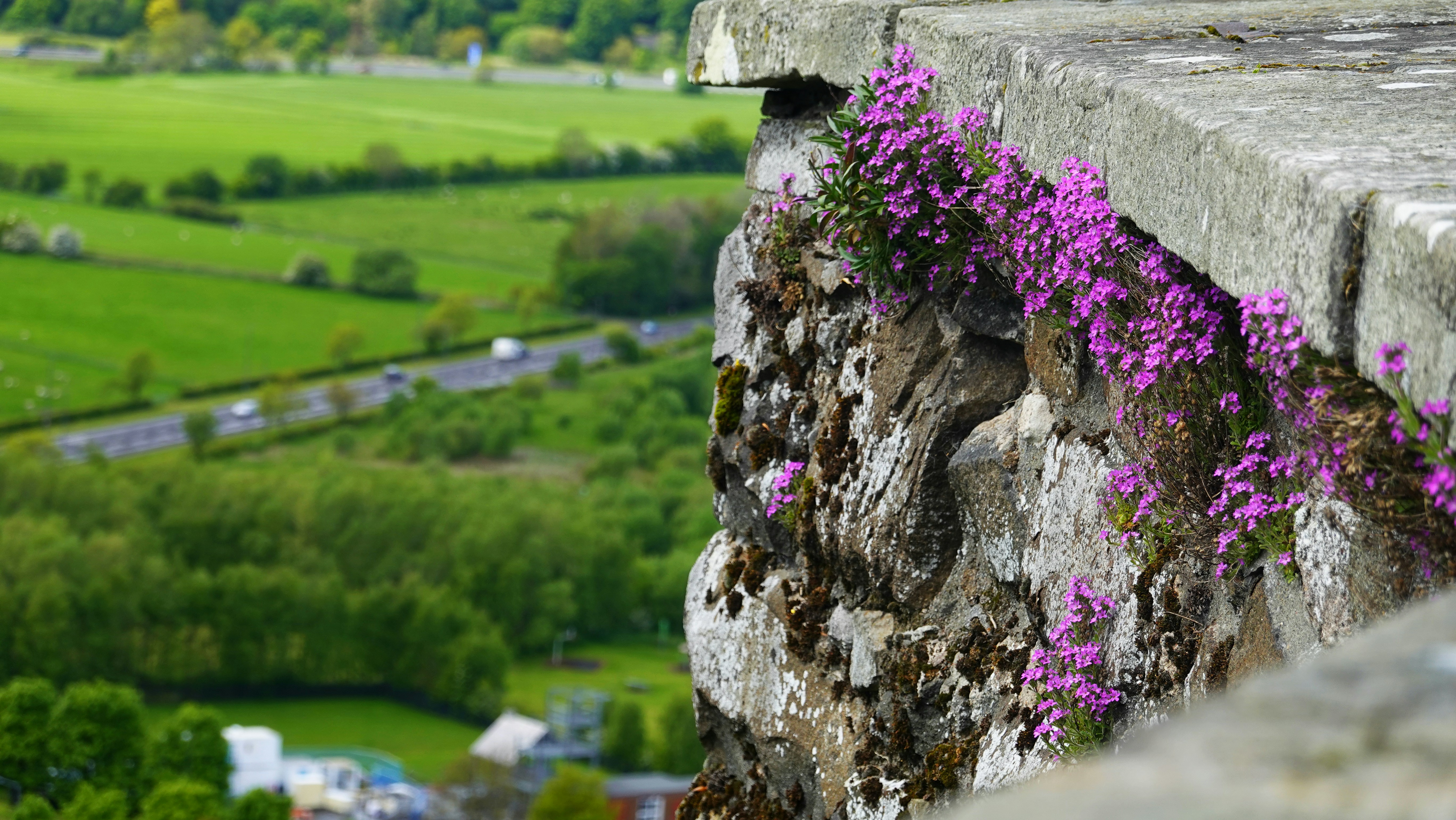 Crimson Moss on the Kiln Wall: AWindow to the Countryside