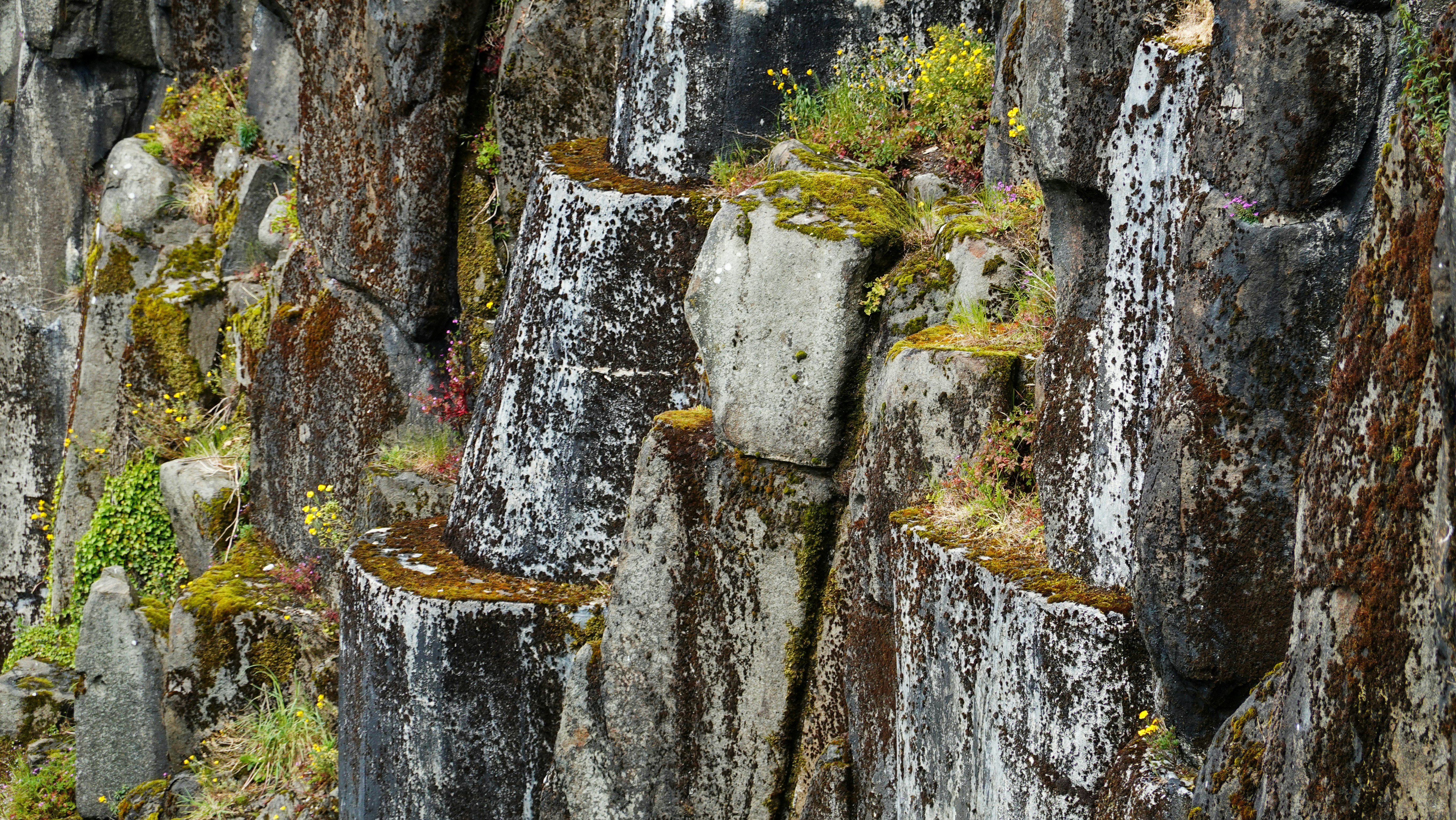 Stone Steps of Moss and Lichen on a Weathered Wall